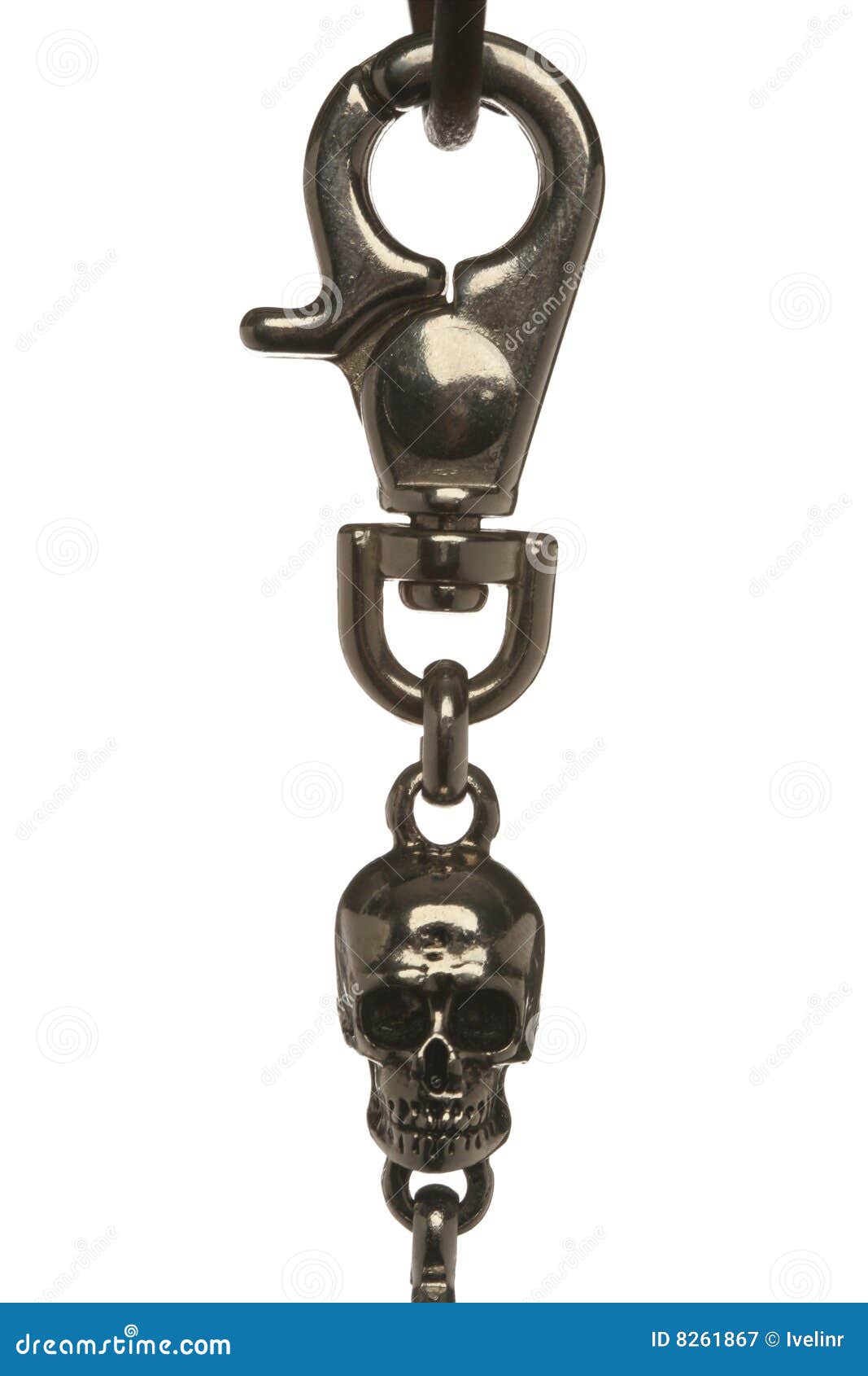 Part of Metal Chain of Skulls Stock Image - Image of chain, copyspace ...