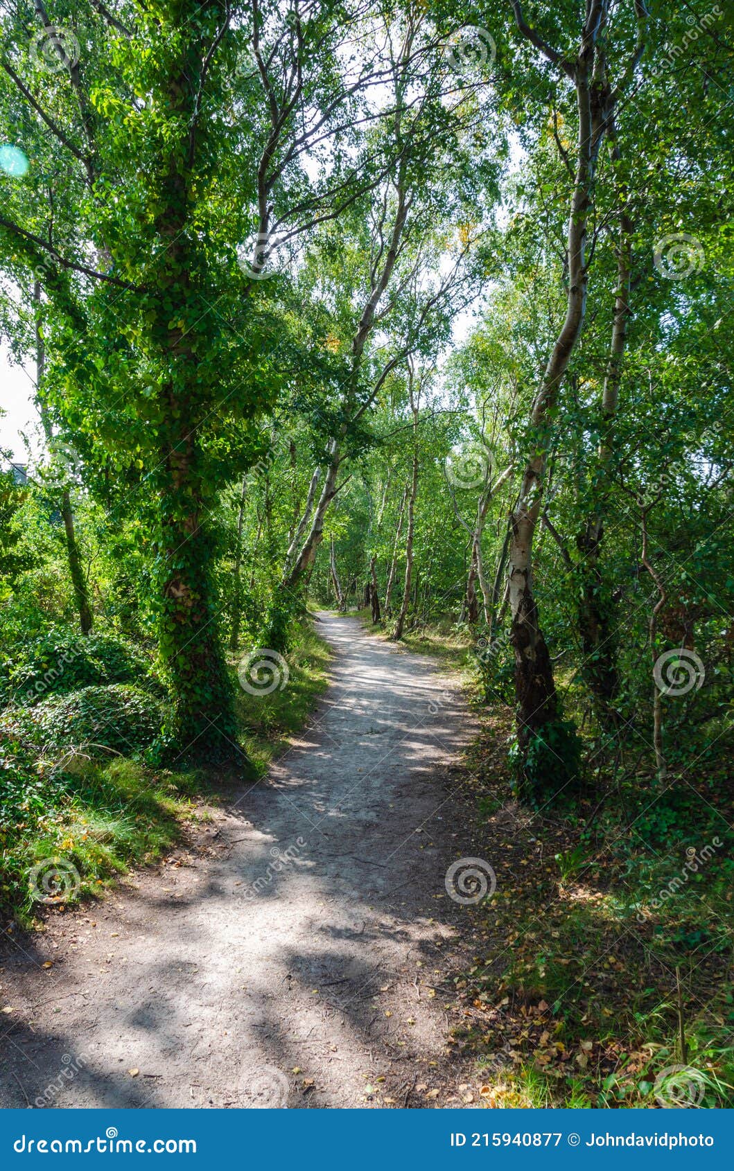 Part of the North Wales Coastal Path Stock Image - Image of grassy ...