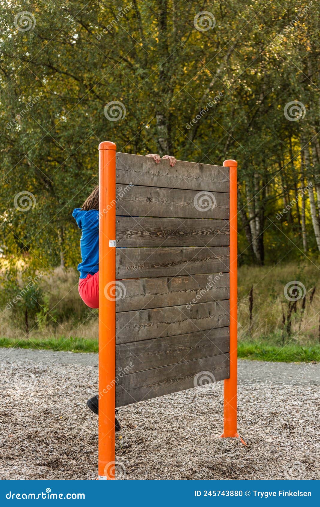 Part of an Obstacle Course.. Stock Photo - Image of equestrian, fitness ...
