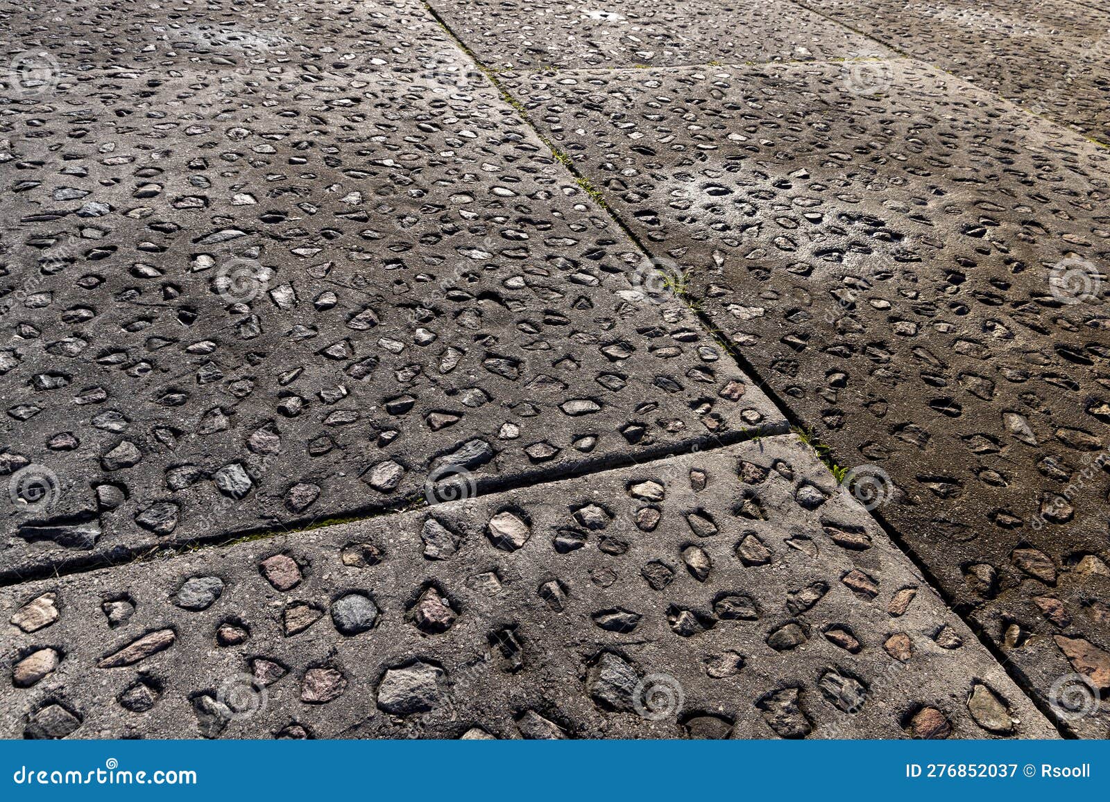 Walking Way Made Of Concrete Slabs Near Bushes Growing Around A Row Of ...