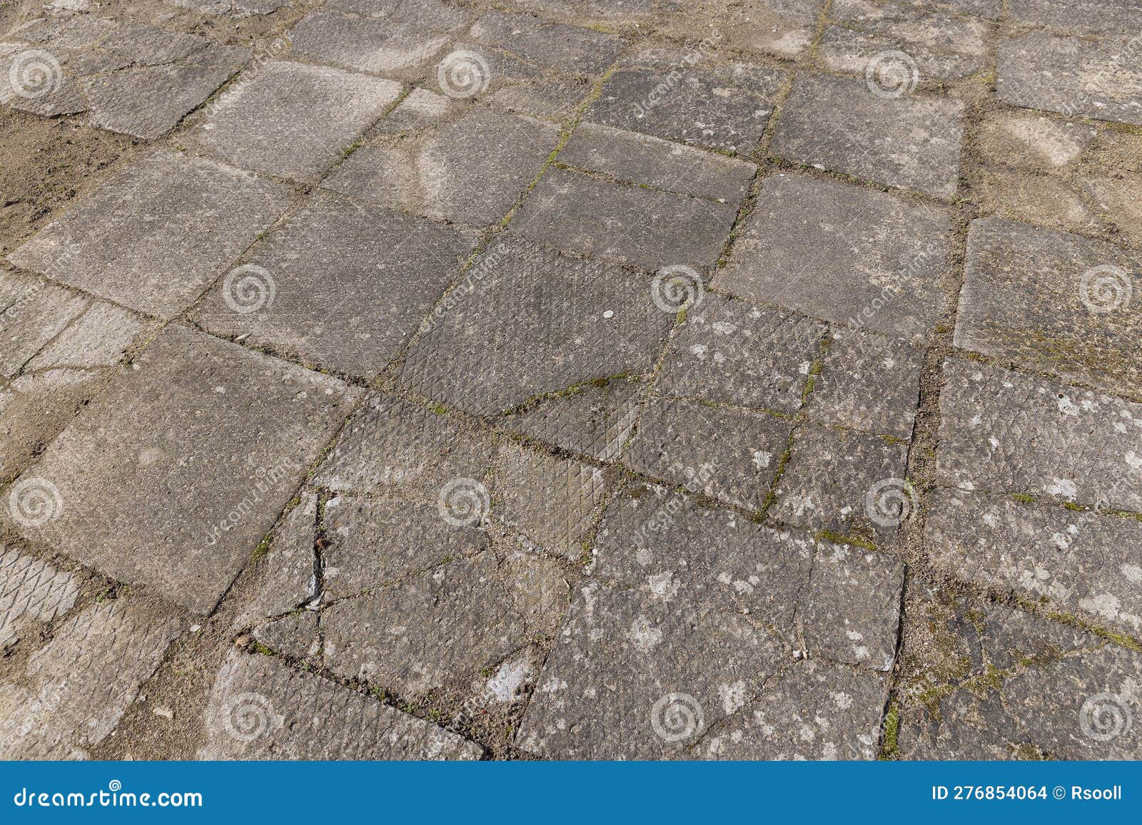 Walking Way Made Of Concrete Slabs Near Bushes Growing Around A Row Of ...
