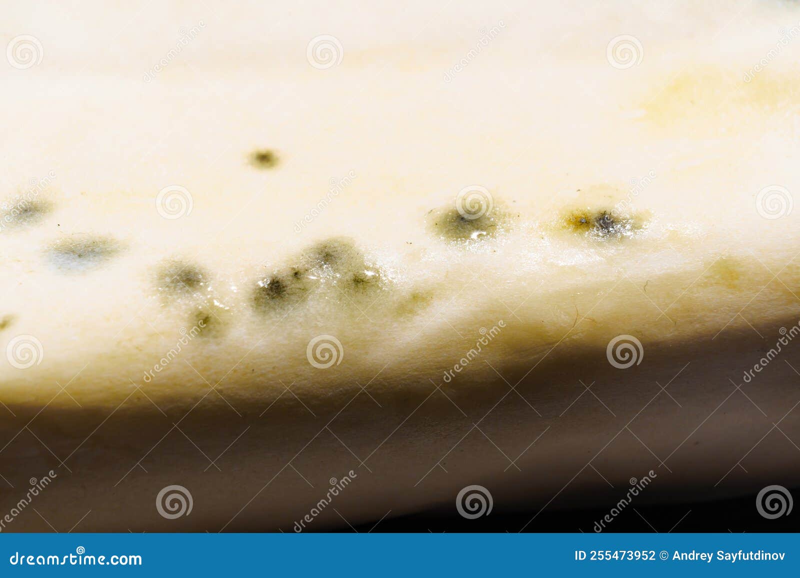 Part of a Pack of Spoiled Butter with Mold. the Storage of Dairy ...