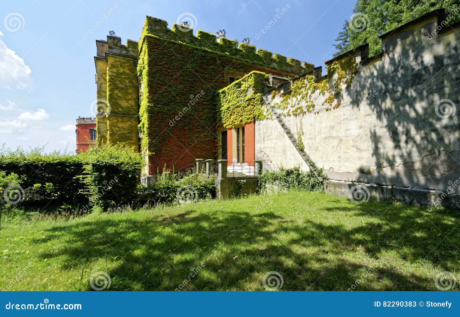 Part of a Palatial Structure Which is Mostly Covered with Creeper ...