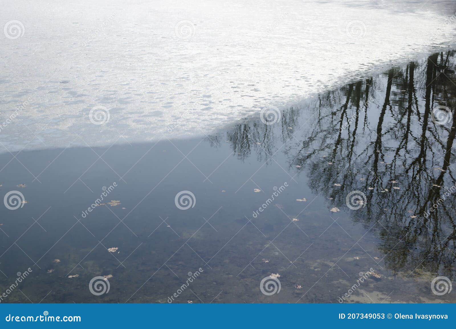 In the Part of the Pond Thawed from the Ice, the Bottom is Visible and ...