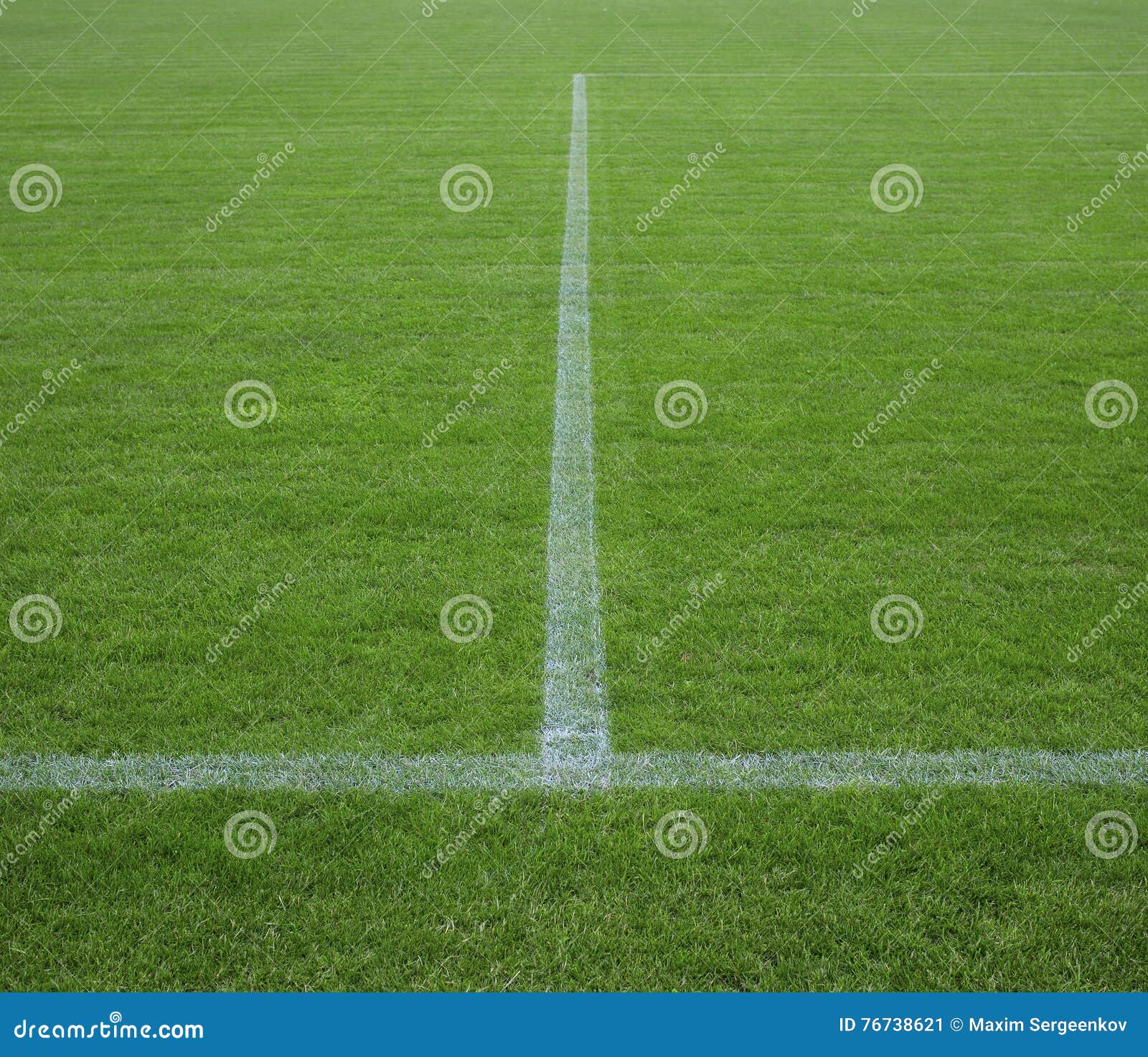 Part of soccer field stock image. Image of game, grass - 76738621