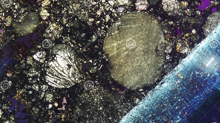 Part of a Space Meteorite Under a Microscope Closeup Stock Photo ...