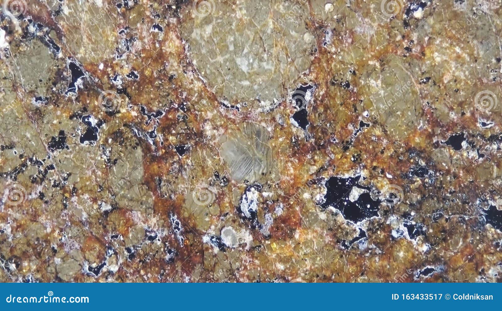 Part of a Space Meteorite Under a Microscope Closeup Stock Image ...
