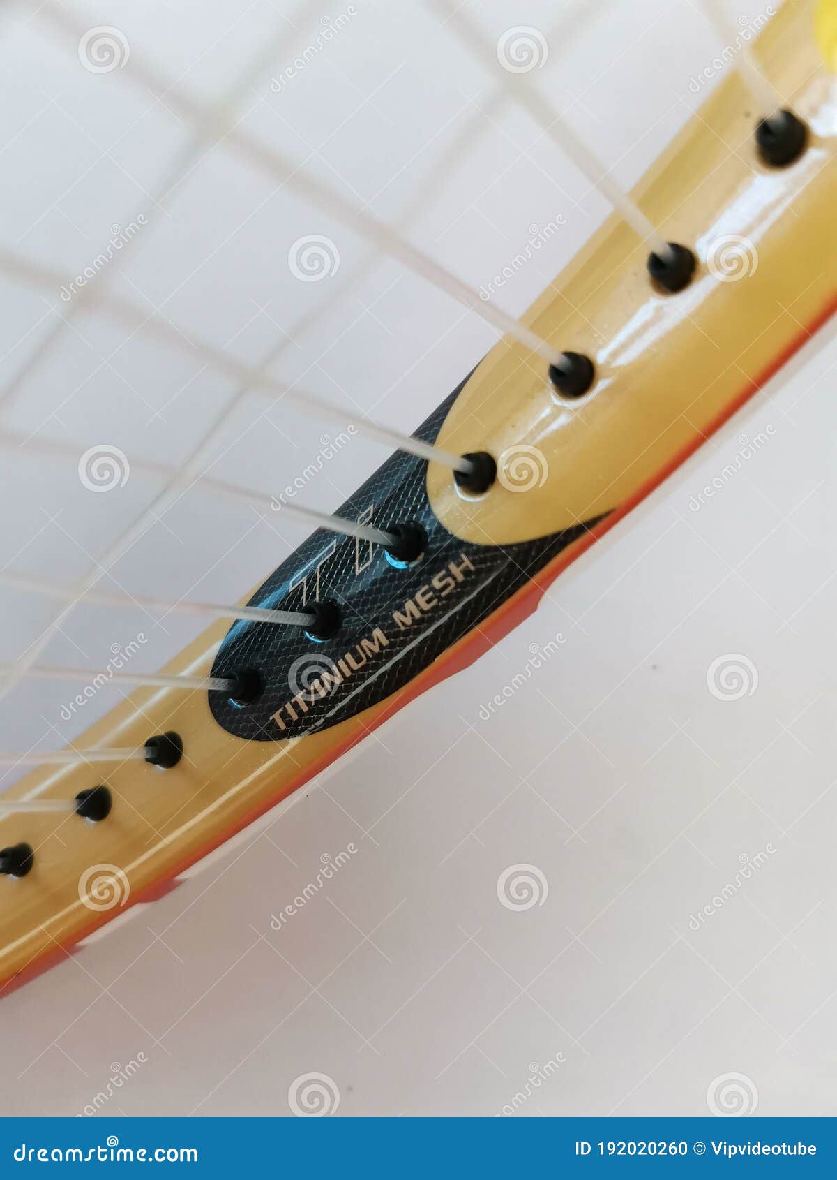 Part of the Structure of a Tennis Racket, Stretched Lines on the Racket ...