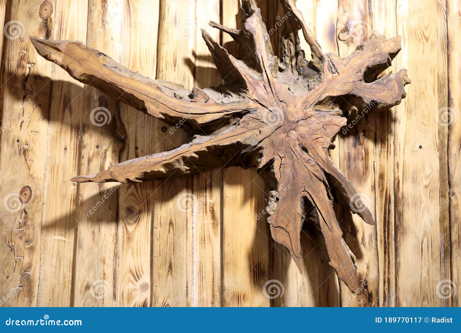Part of stump on wall stock image. Image of decorative - 189770117