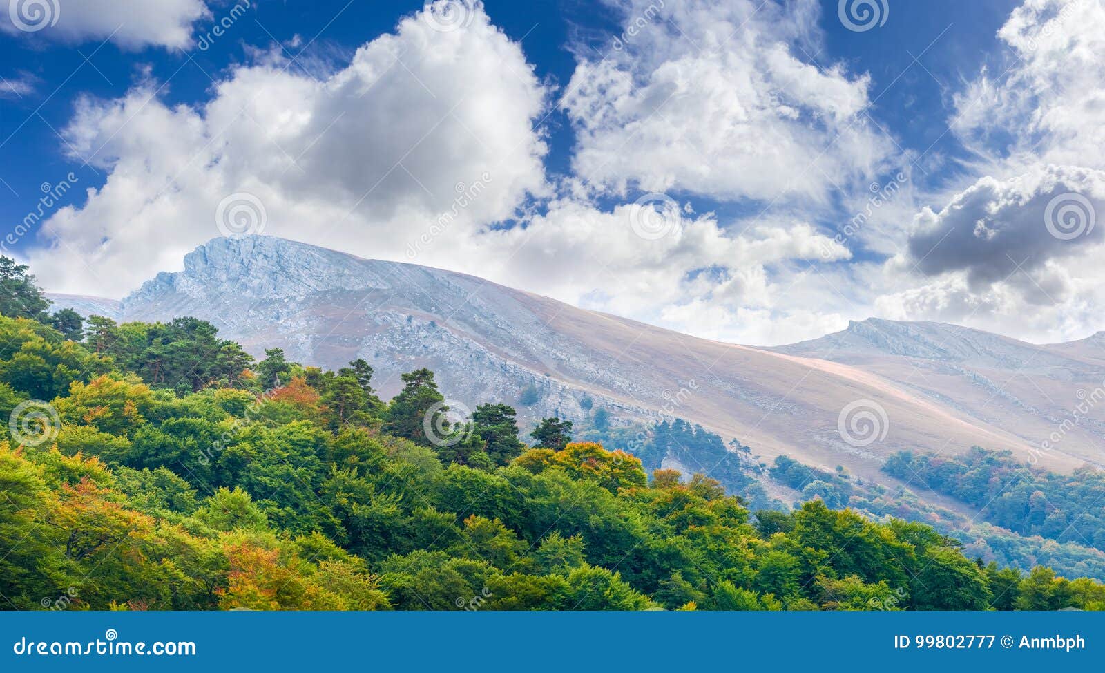 Part of the Table Hill with Forest on a Foreground Stock Image - Image ...