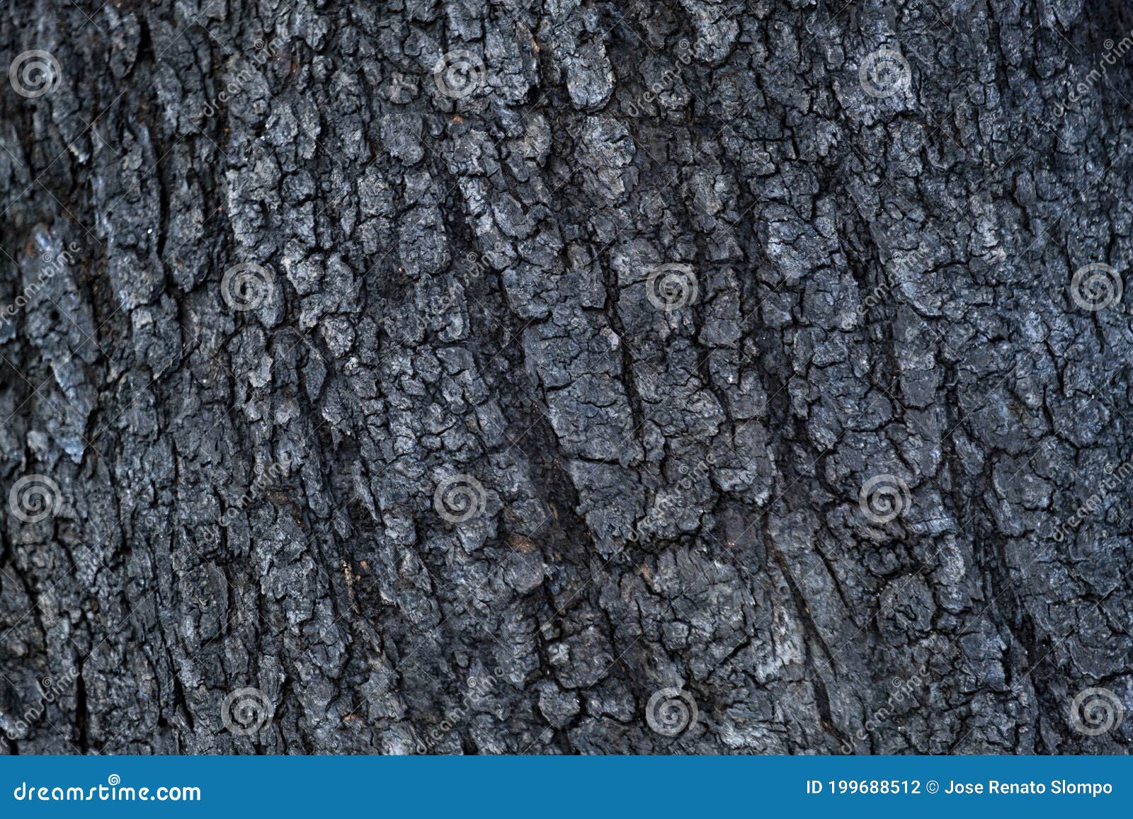Part of Tree Trunk after Fire Stock Photo - Image of wallpaper, surface ...