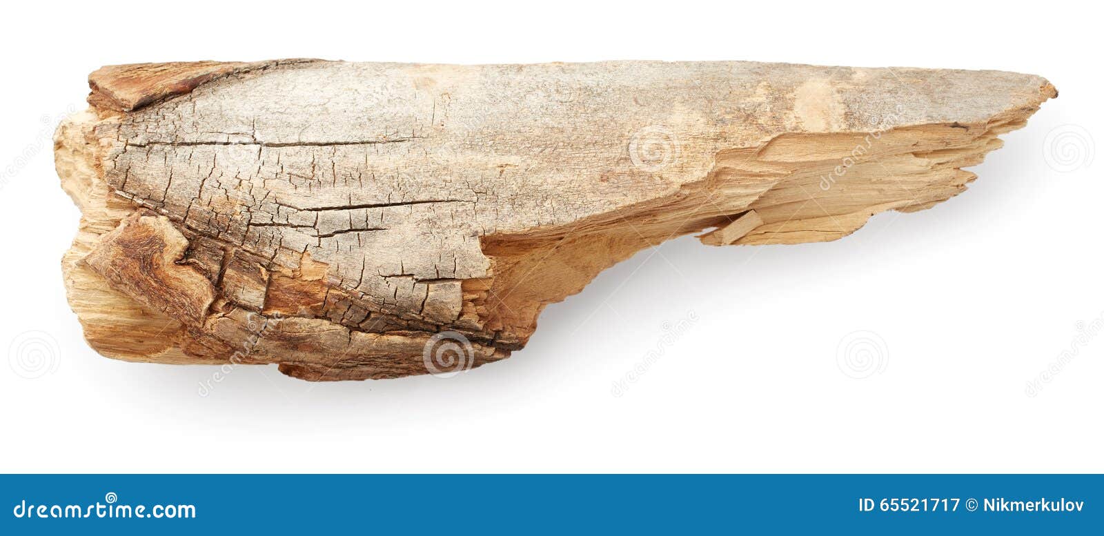 Part of tree trunk stock image. Image of macro, environment - 65521717