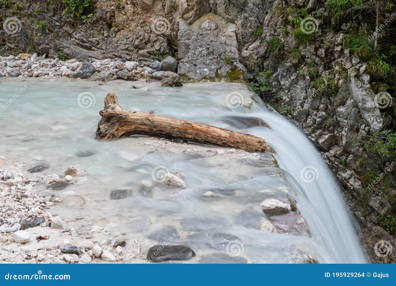 Part of Tree Trunk Lying in Beautiful Stream Just Above the Waterfall ...