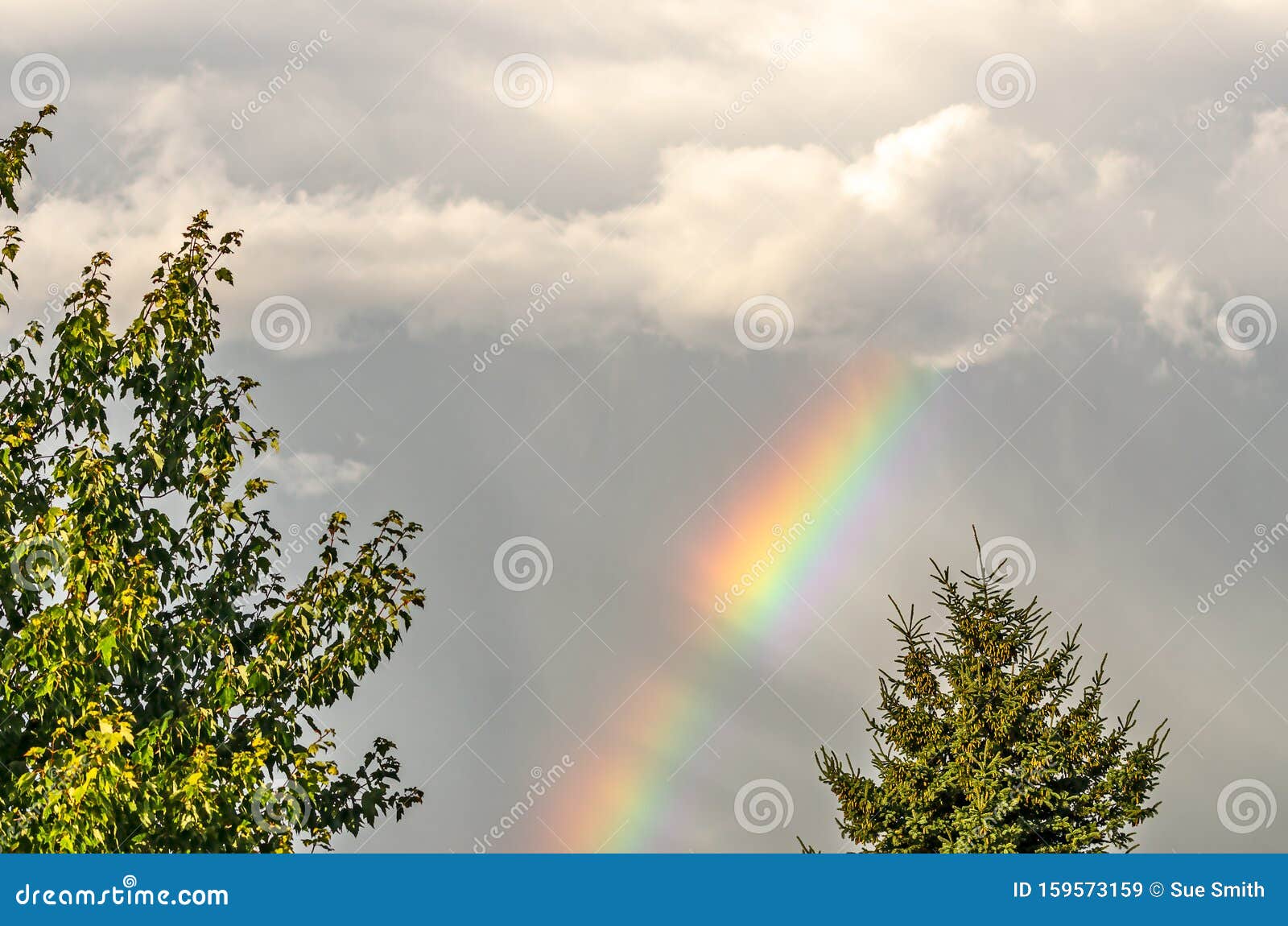Bright Rainbow Disappearing in the Clouds Stock Image - Image of ...