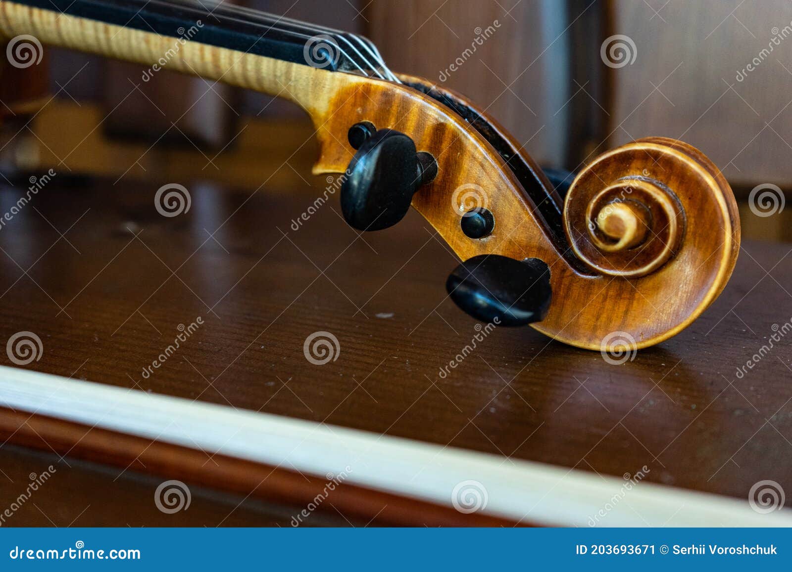 Violin - Side View - Background - Symphony Orchestra Rehearsal ...