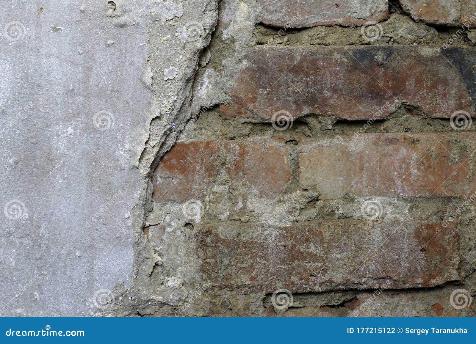 Part of the Wall with Crumbling Plaster from Under Which a Red Brick is ...