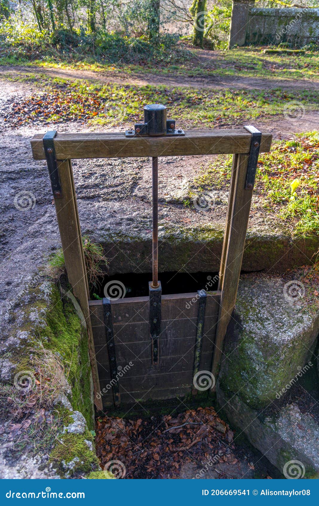 An Old Sluice Gate in Luxulyan Valley, Cornwall Stock Image - Image of ...