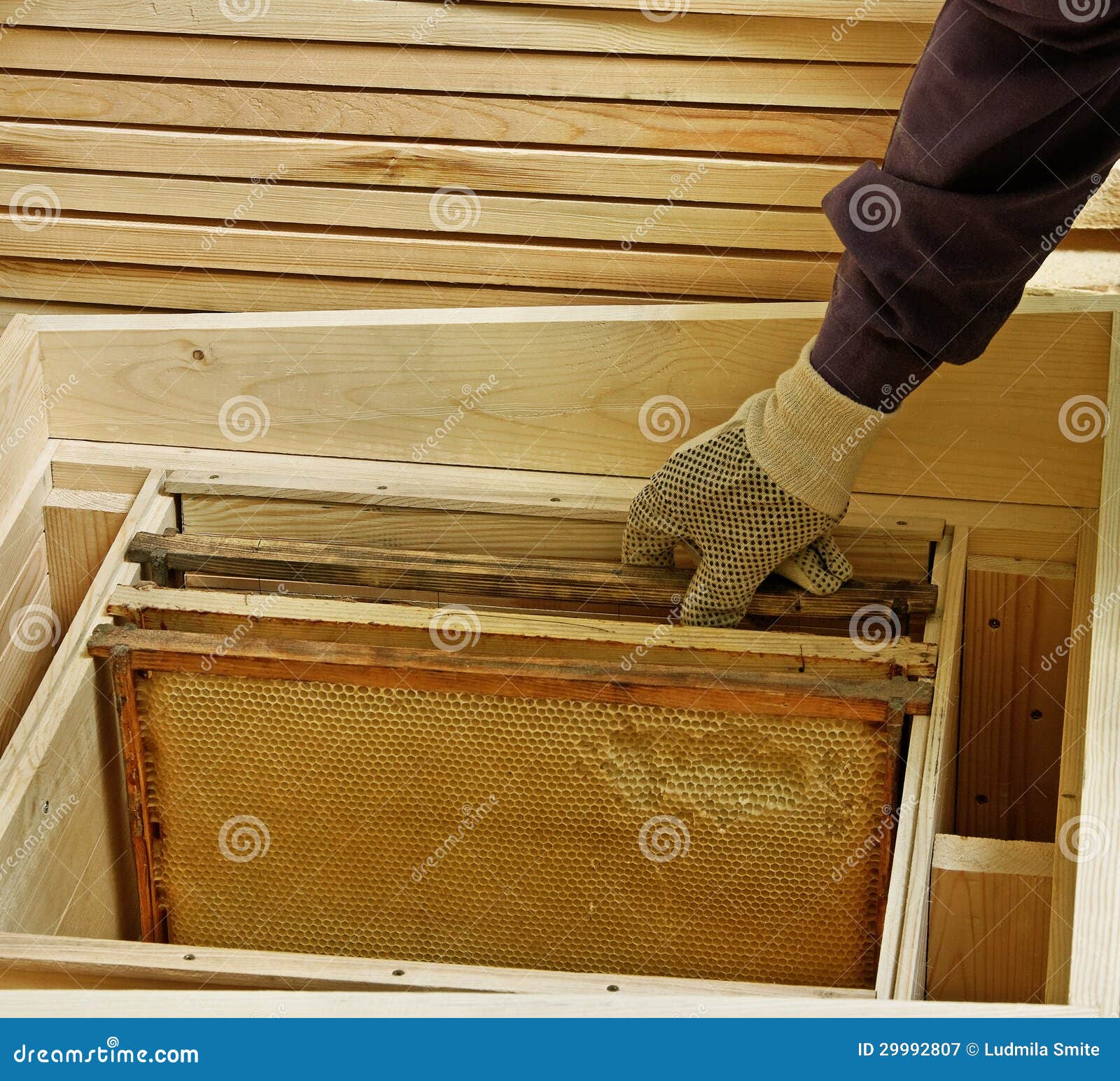 Project of wooden beehive. stock image. Image of precise - 29992807