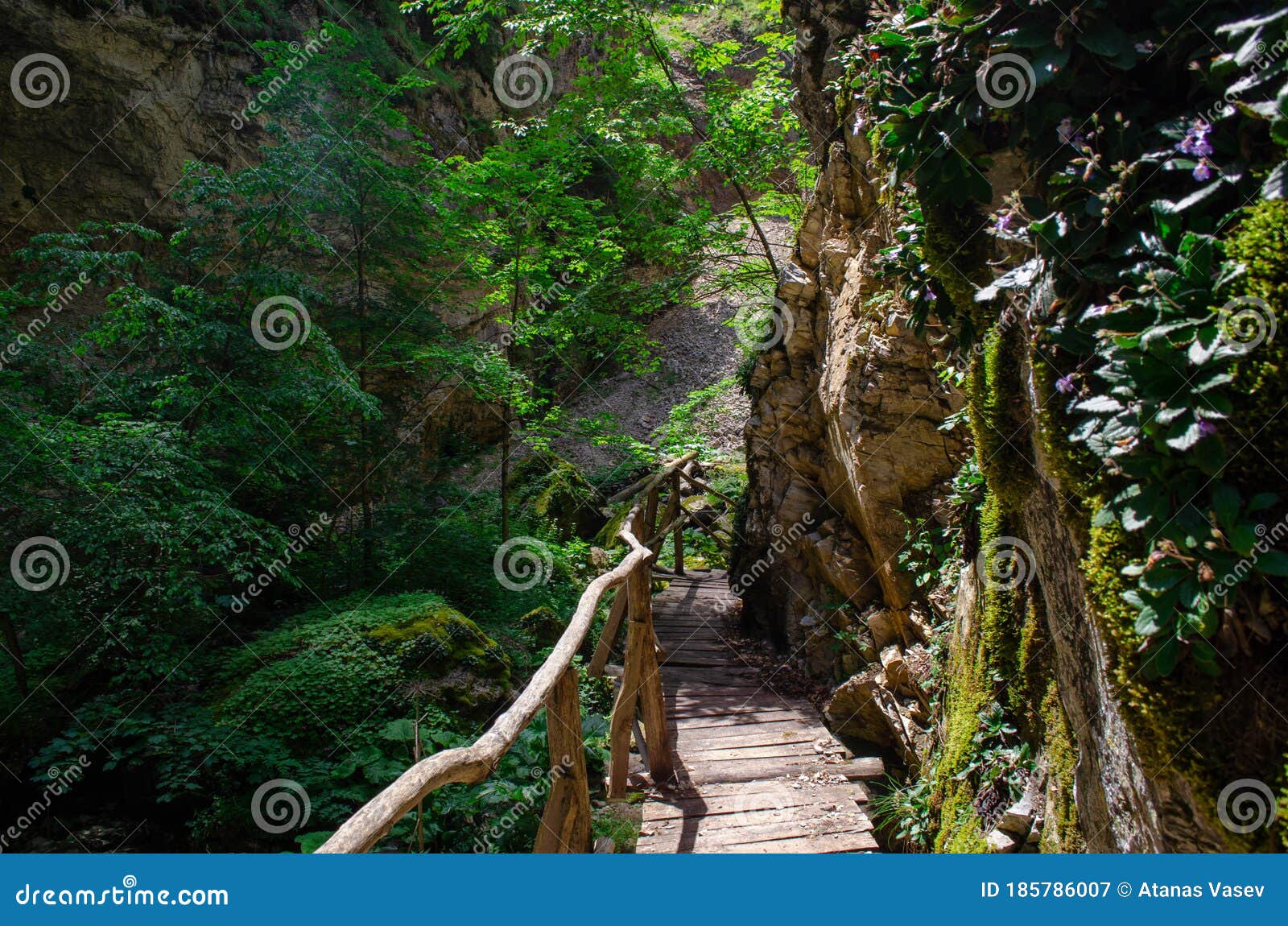Part of the Wooden Path Thru the Devil`s Path Stock Image - Image of ...