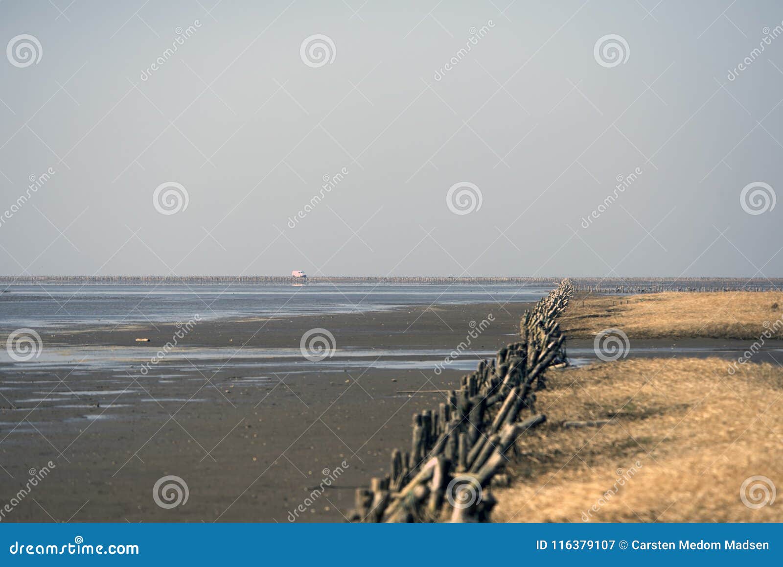 Parte Danesa Del Parque Nacional Del Mar De Wadden Imagen de archivo ...