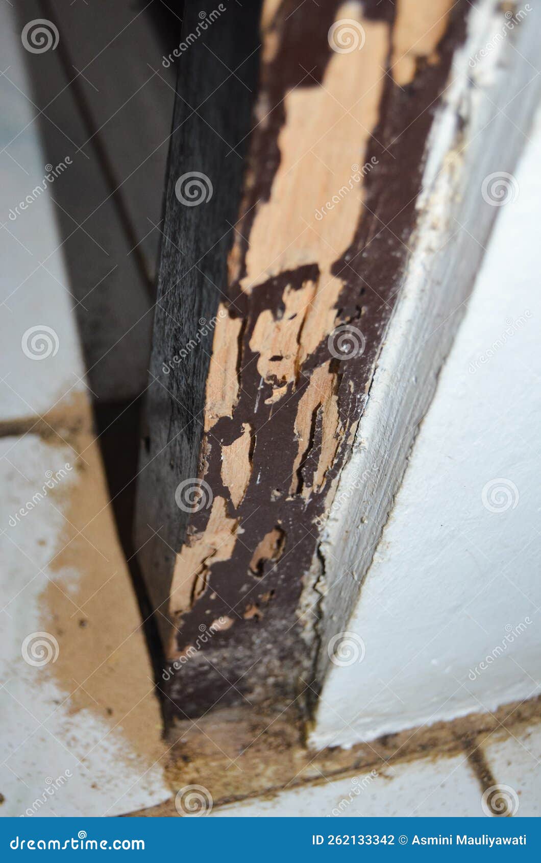 Parte De La Casa De Madera Que Se Come Con Termitas Foto de archivo ...