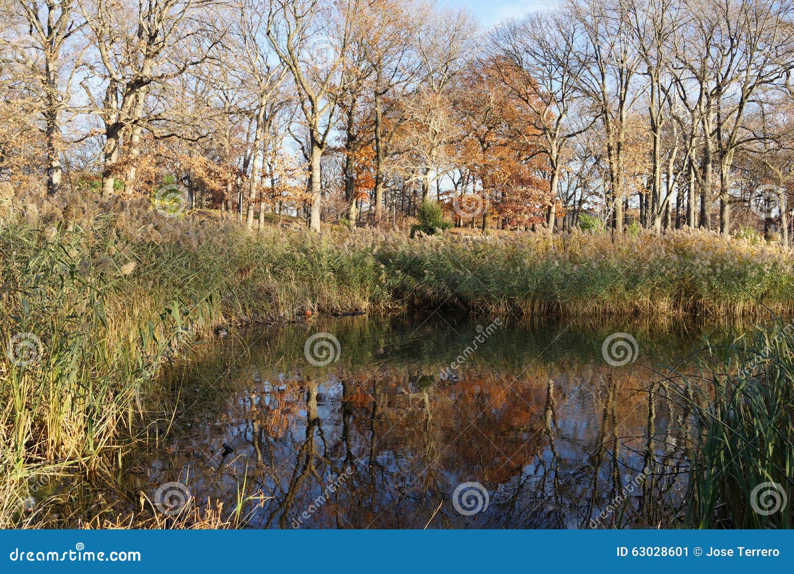 Parte 2 7 Del Parque De Crotona Foto editorial - Imagen de desde ...