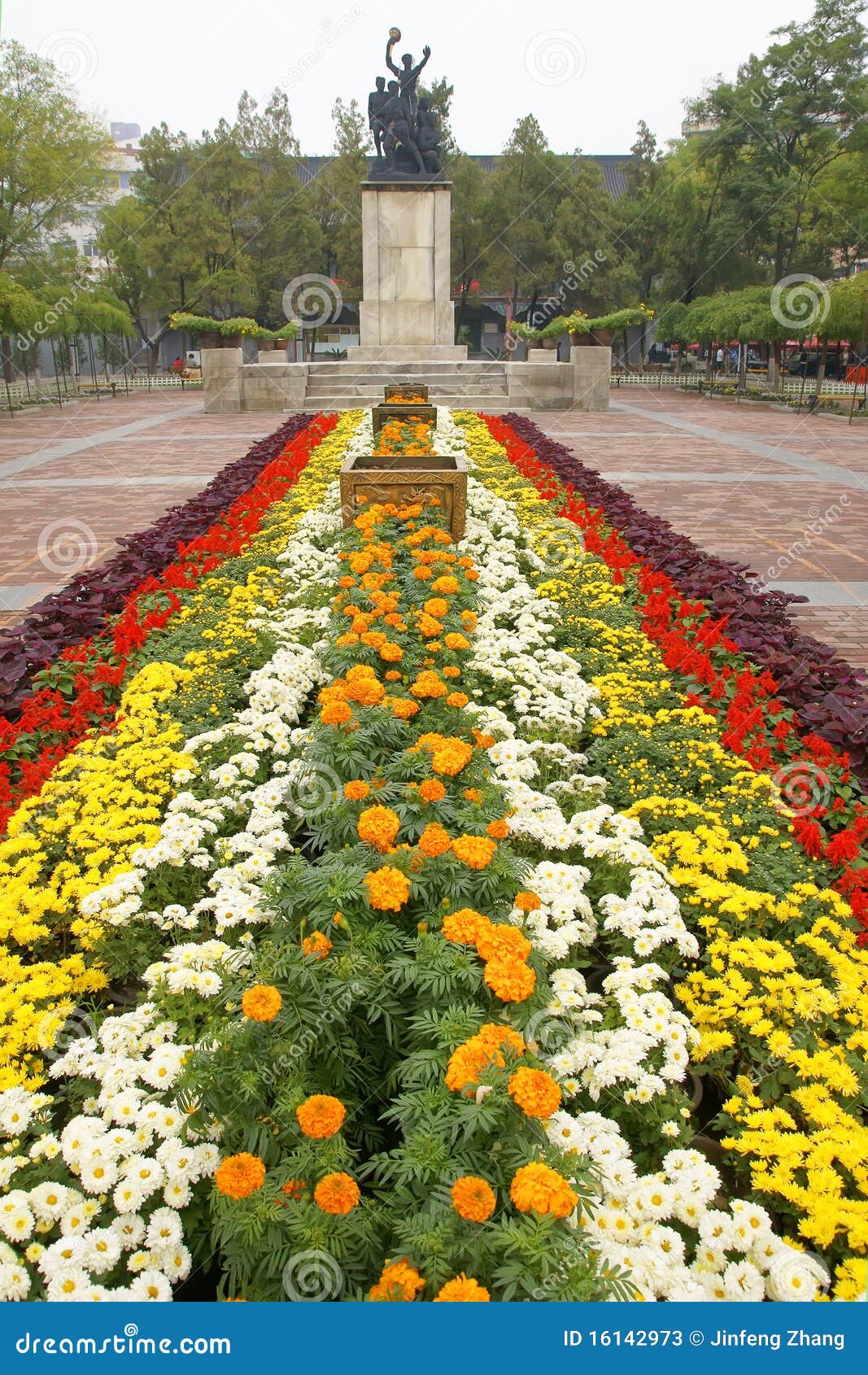 Parterre stock image. Image of beautiful, leaf, chrysanthemum - 16142973