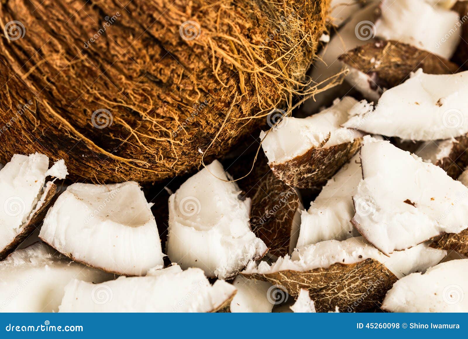 Partes De Close-up Do Fruto Do Coco Foto de Stock - Imagem de fruta ...