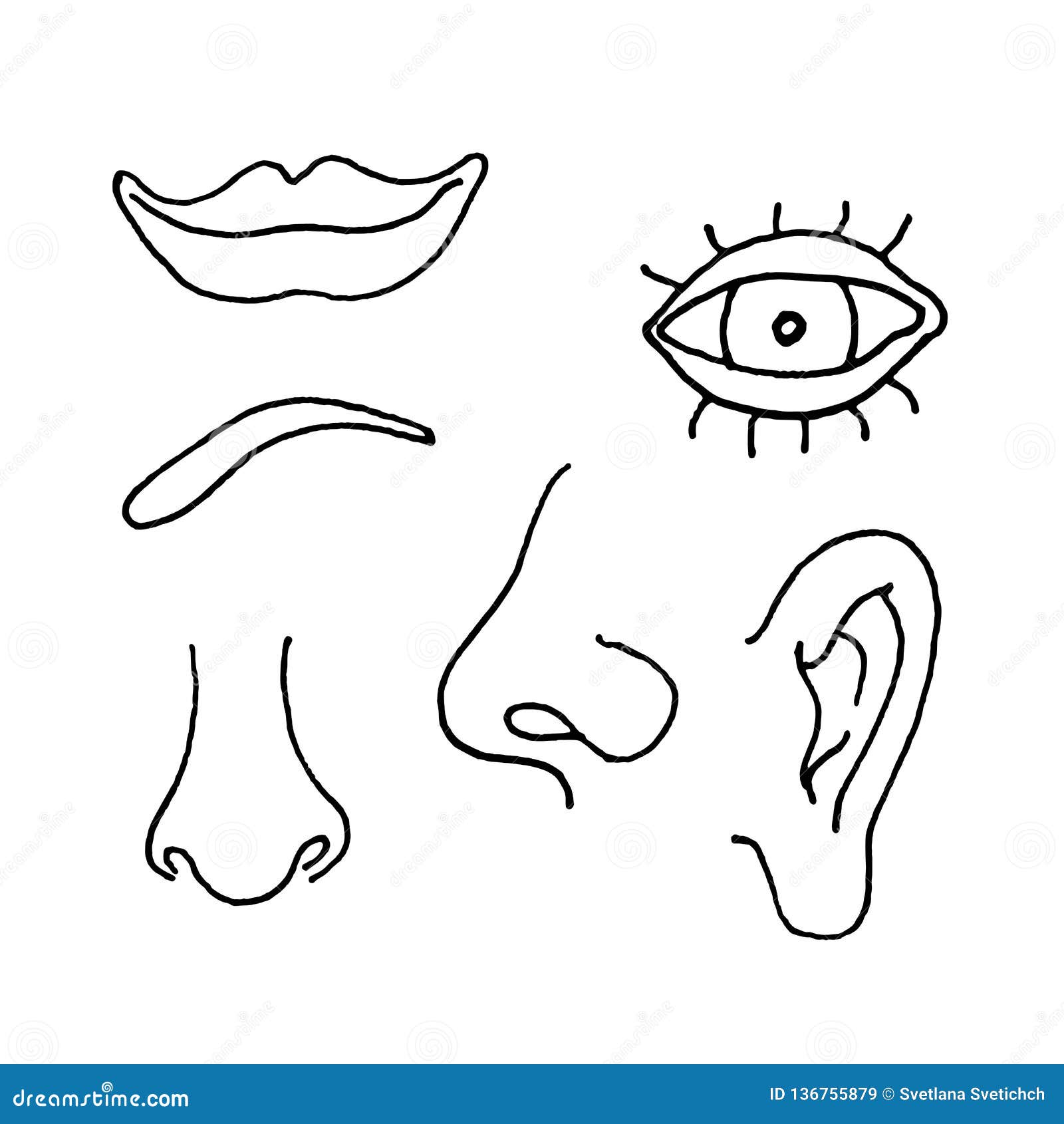 Partes de un rostro humano ilustración del vector. Ilustración de ...