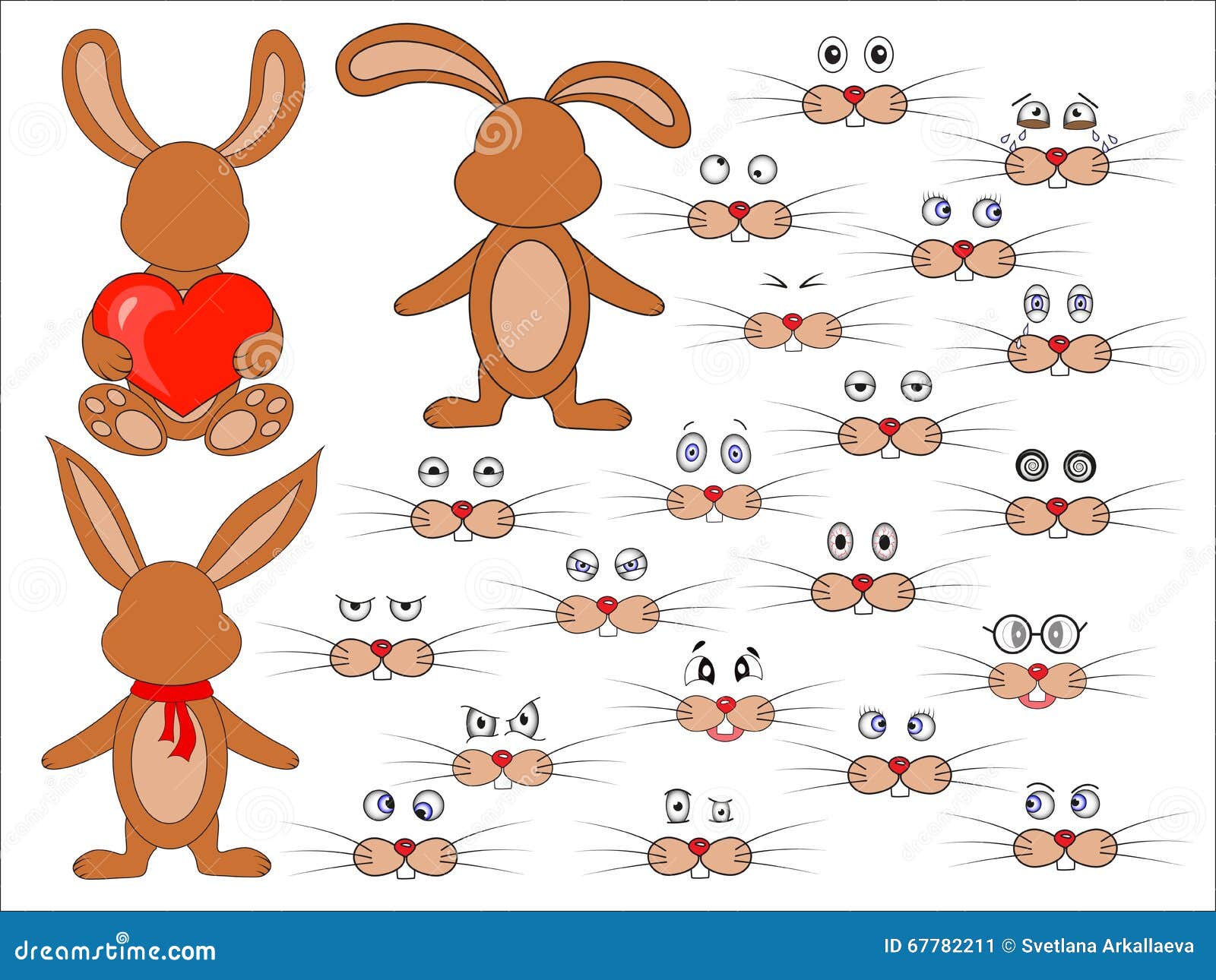 Partes Del Cuerpo Del Conejo En El Vector EPS Ilustración del Vector ...