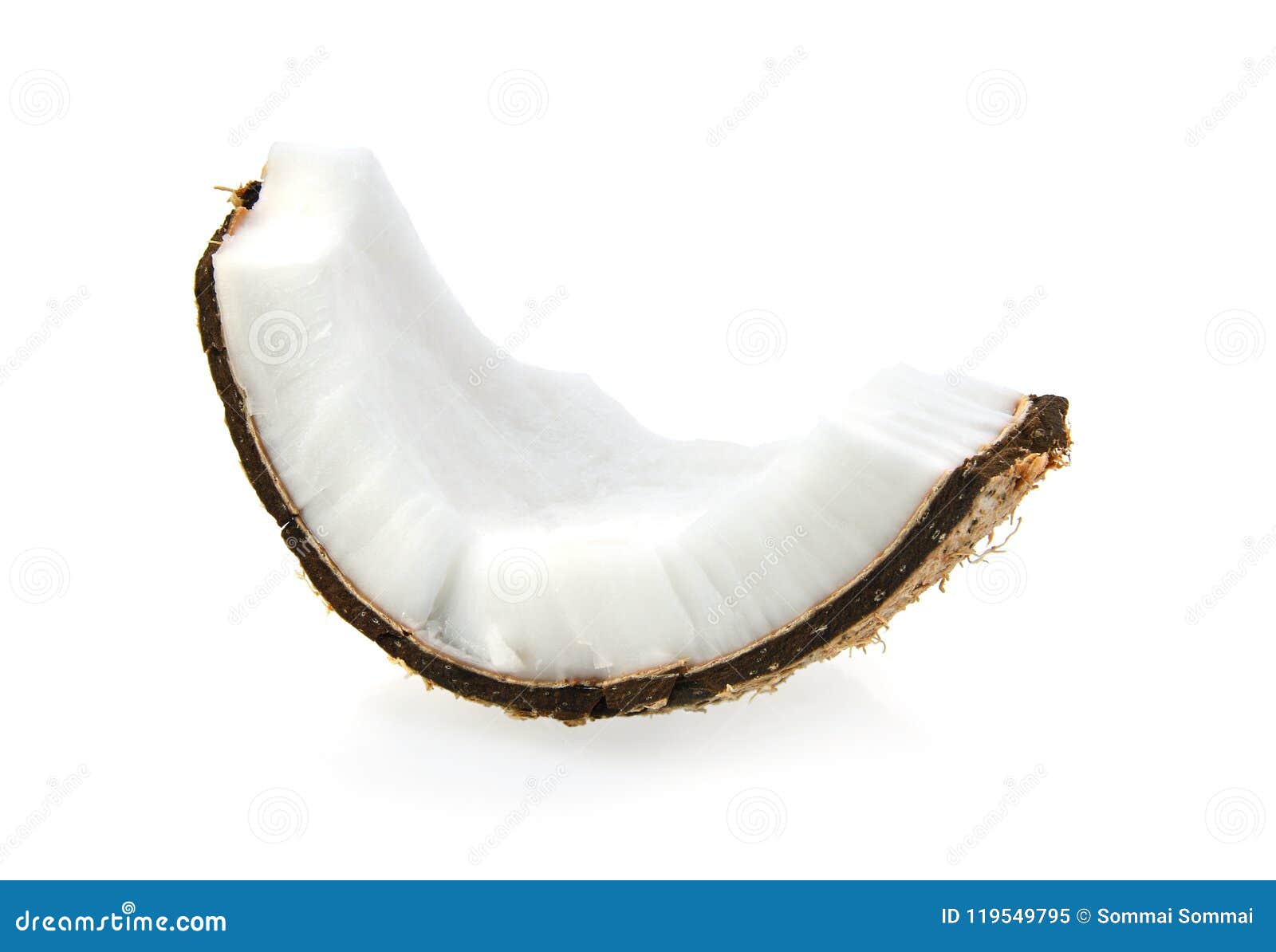 Partes do coco imagem de stock. Imagem de partes, porca - 119549795