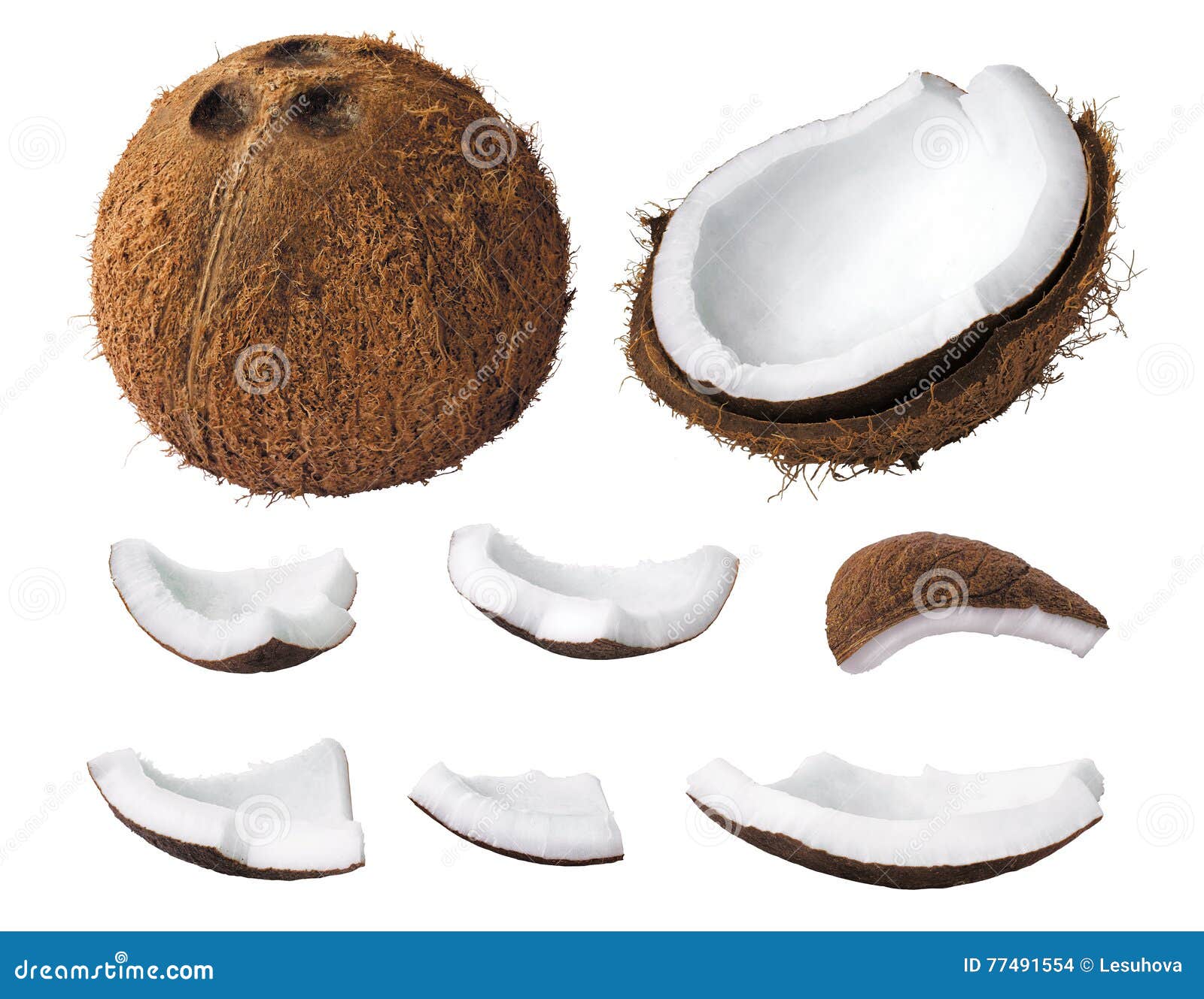 Partes do coco foto de stock. Imagem de fundo, nave, planta - 77491554