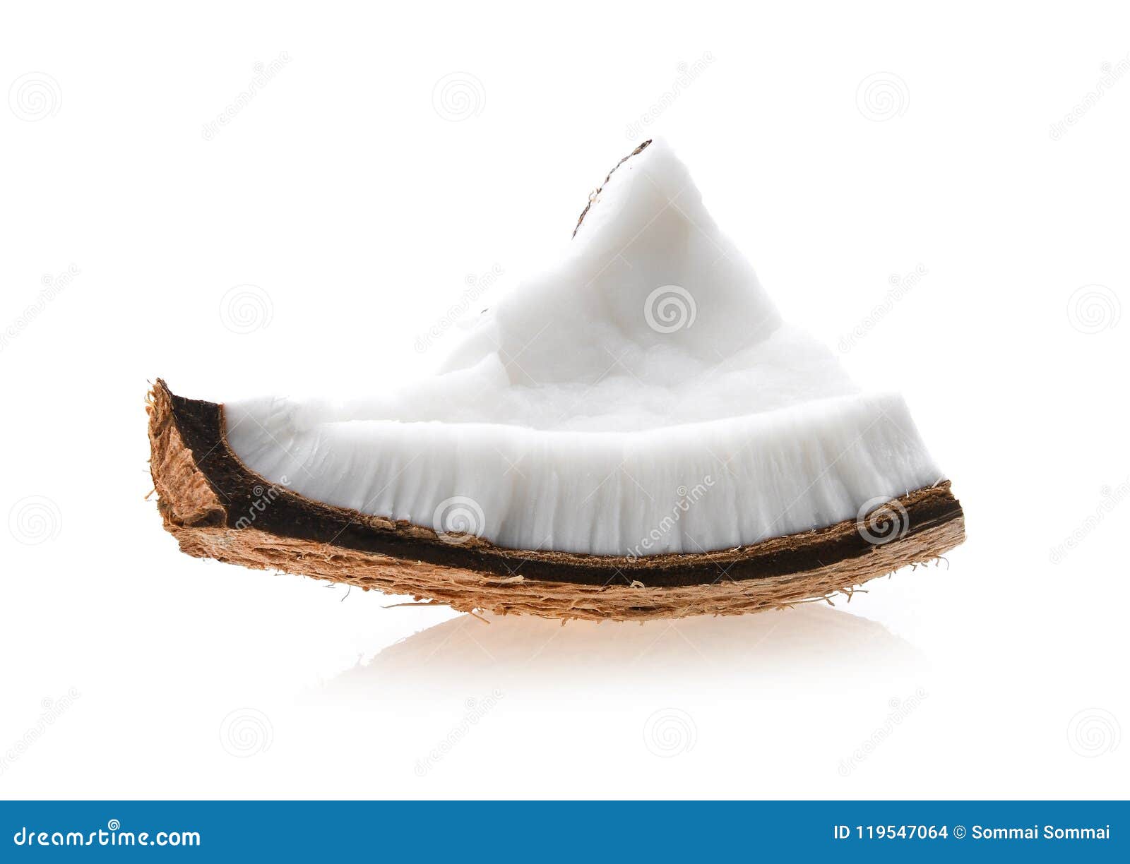 Partes Do Coco Isoladas Em Um Fundo Branco Foto de Stock - Imagem de ...