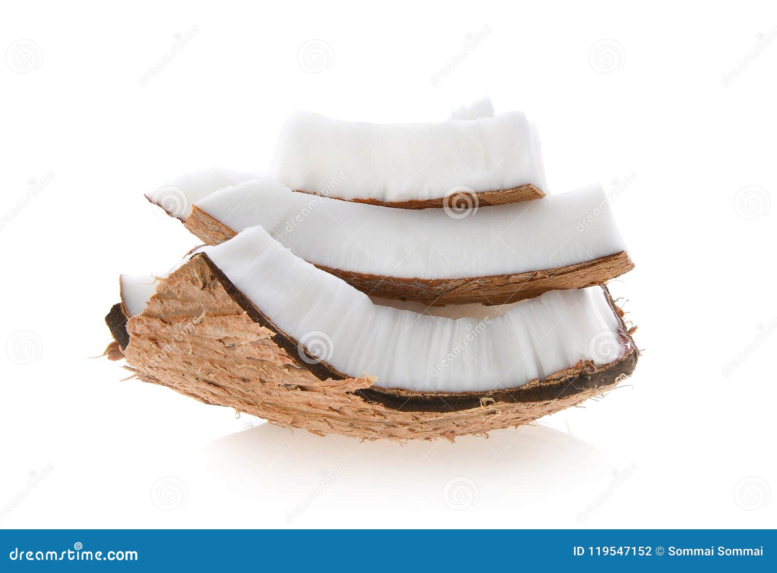 Partes Do Coco Isoladas Em Um Fundo Branco Foto de Stock - Imagem de ...