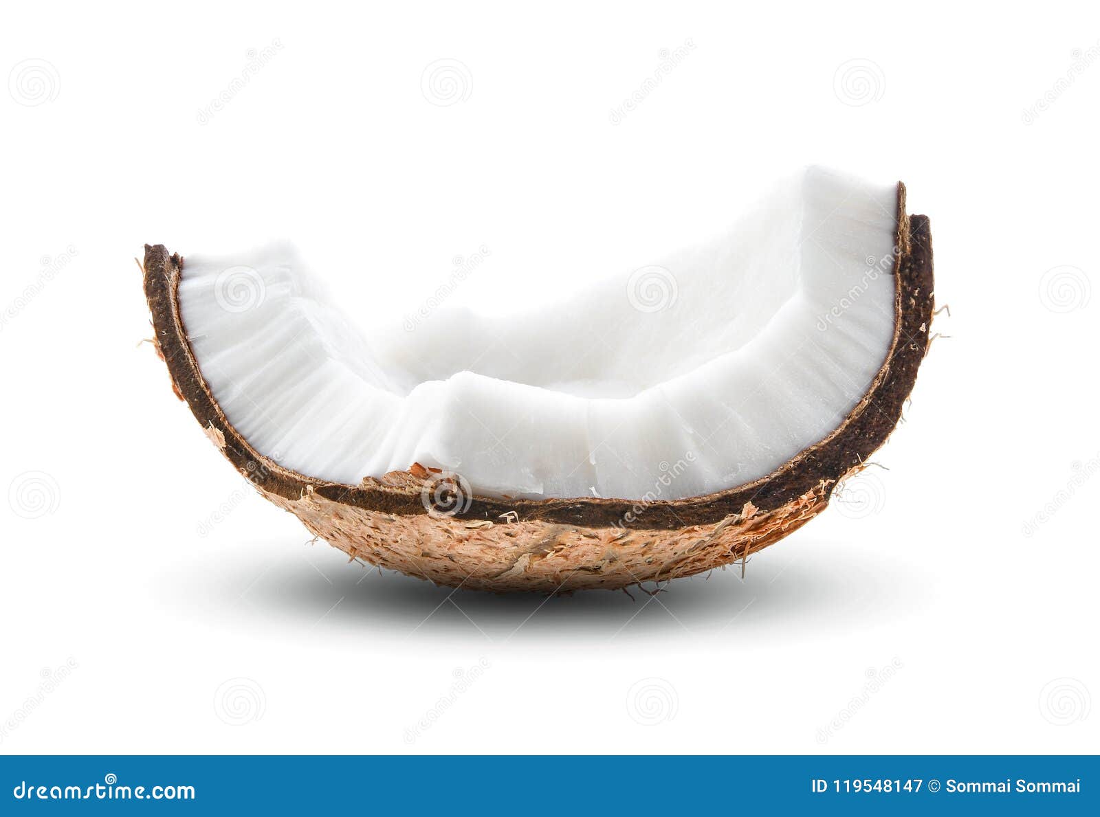 Partes Do Coco Isoladas No Fundo Branco Imagem de Stock - Imagem de ...