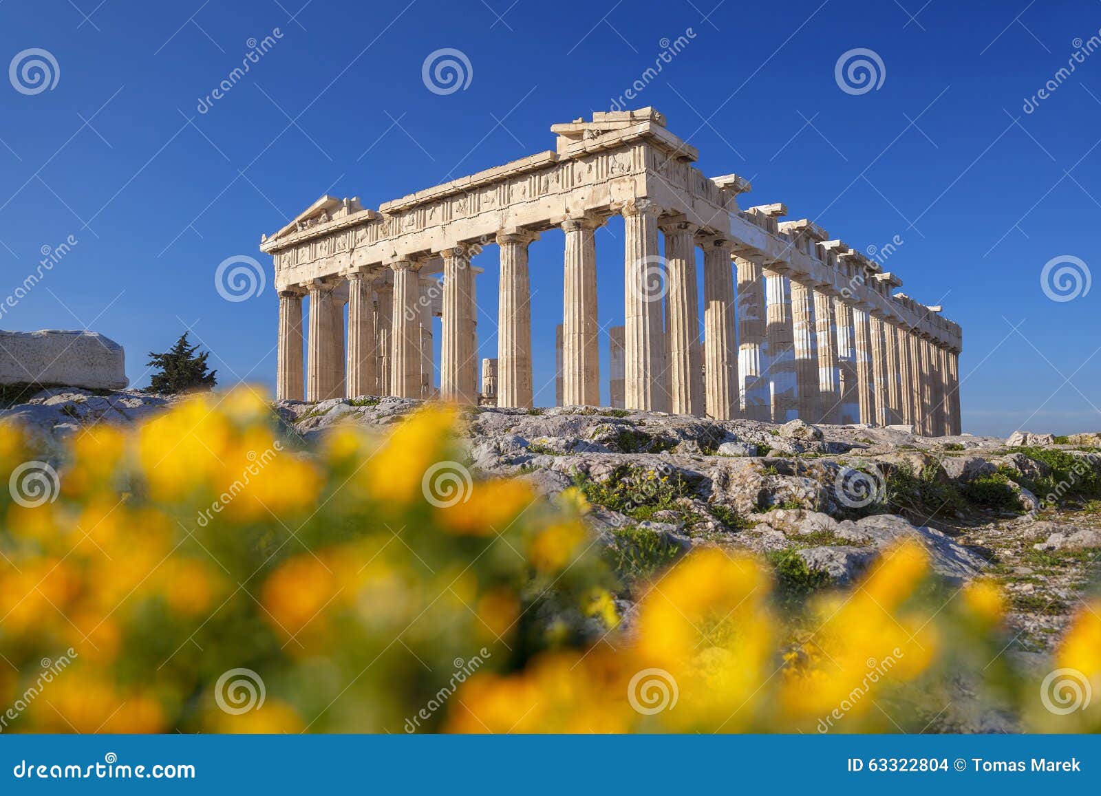 Parthenon Temple with Spring Flowers on the Acropolis in Athens Stock ...