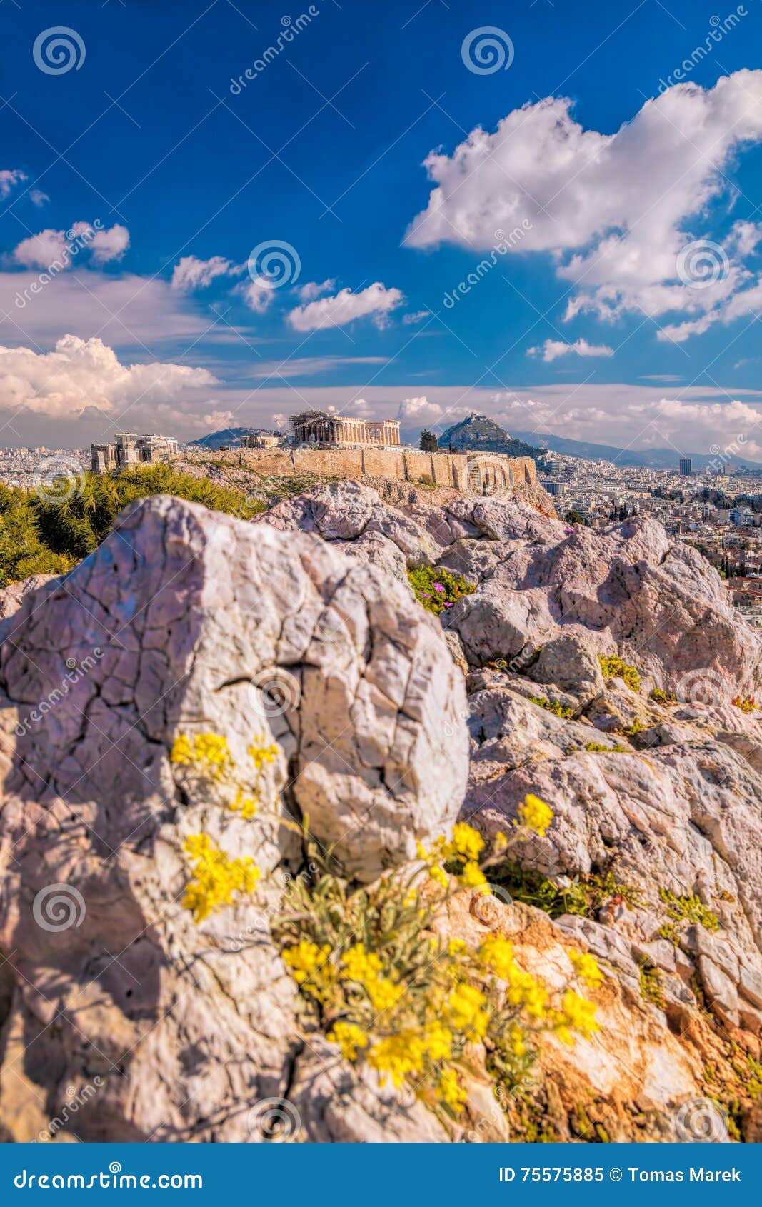 Parthenon Temple with Spring Flowers on the Acropolis in Athens, Greece ...