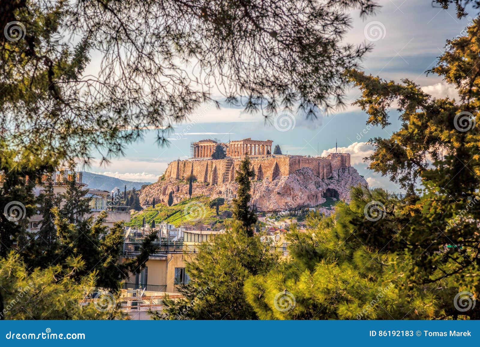 Parthenon Temple with Spring Trees on the Acropolis in Athens, Greece ...