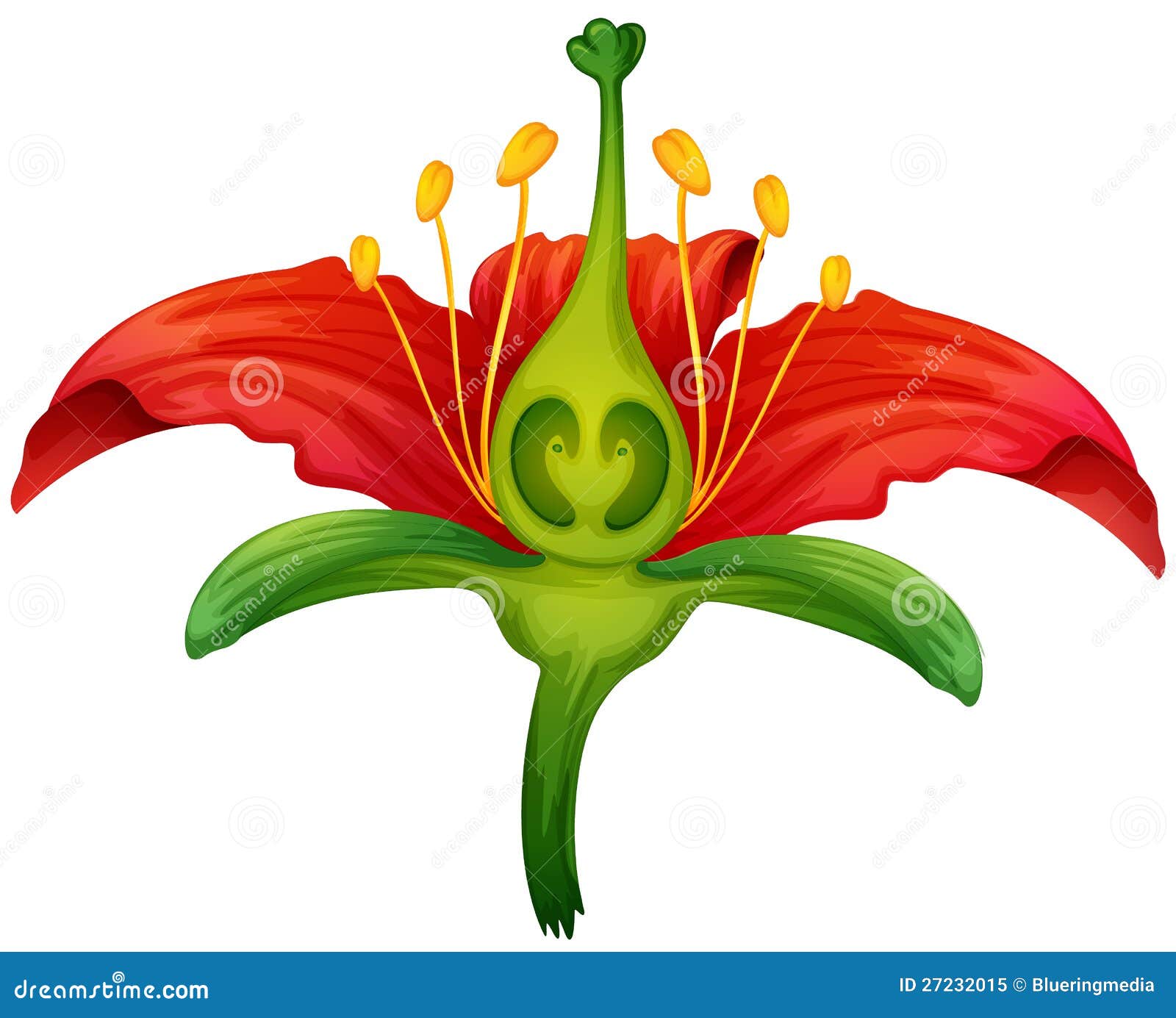 Parti del fiore illustrazione di stock. Illustrazione di educativo ...