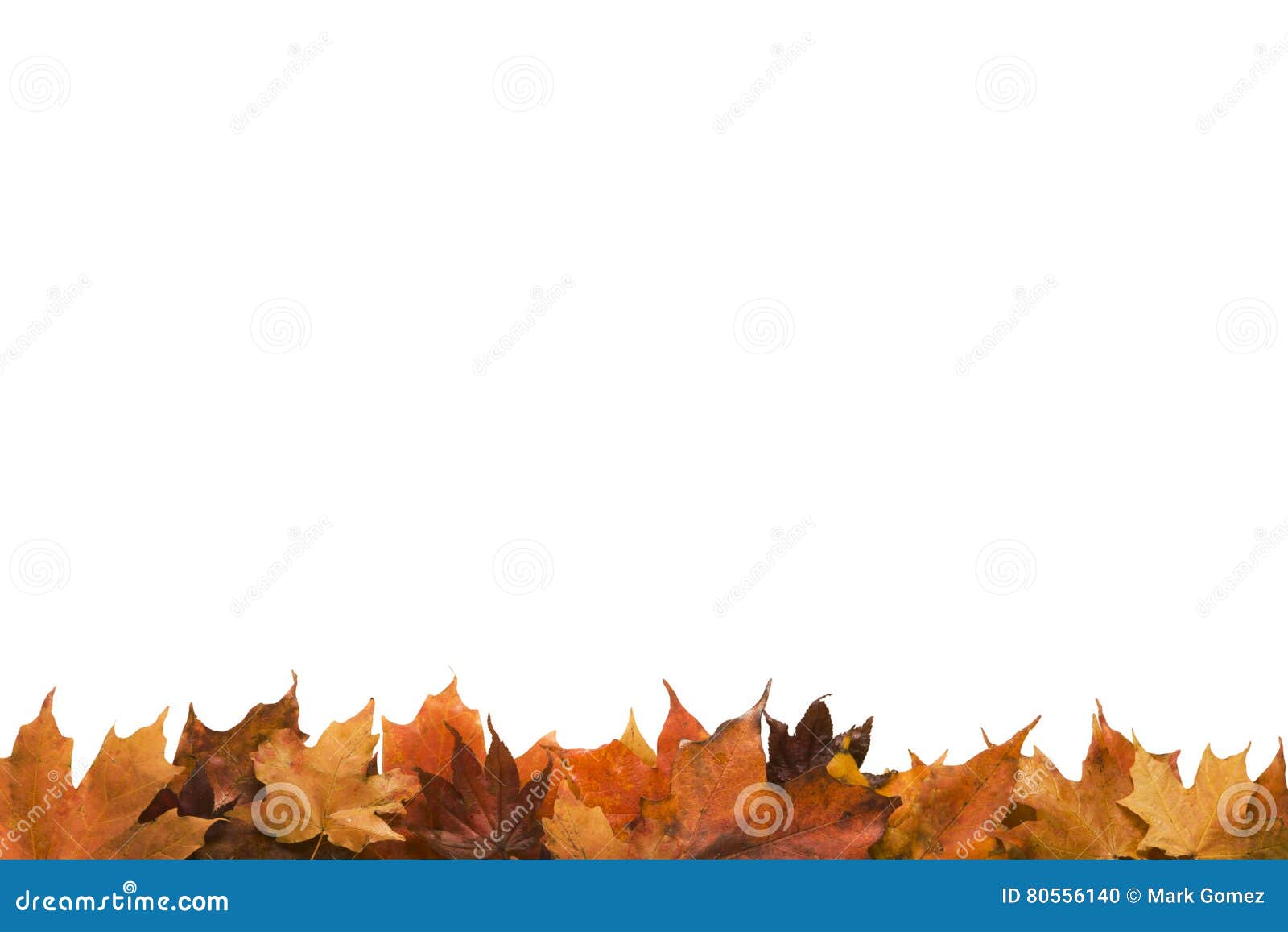 Partial Frame of Autumn Leaves Stock Photo - Image of frame, isolated ...