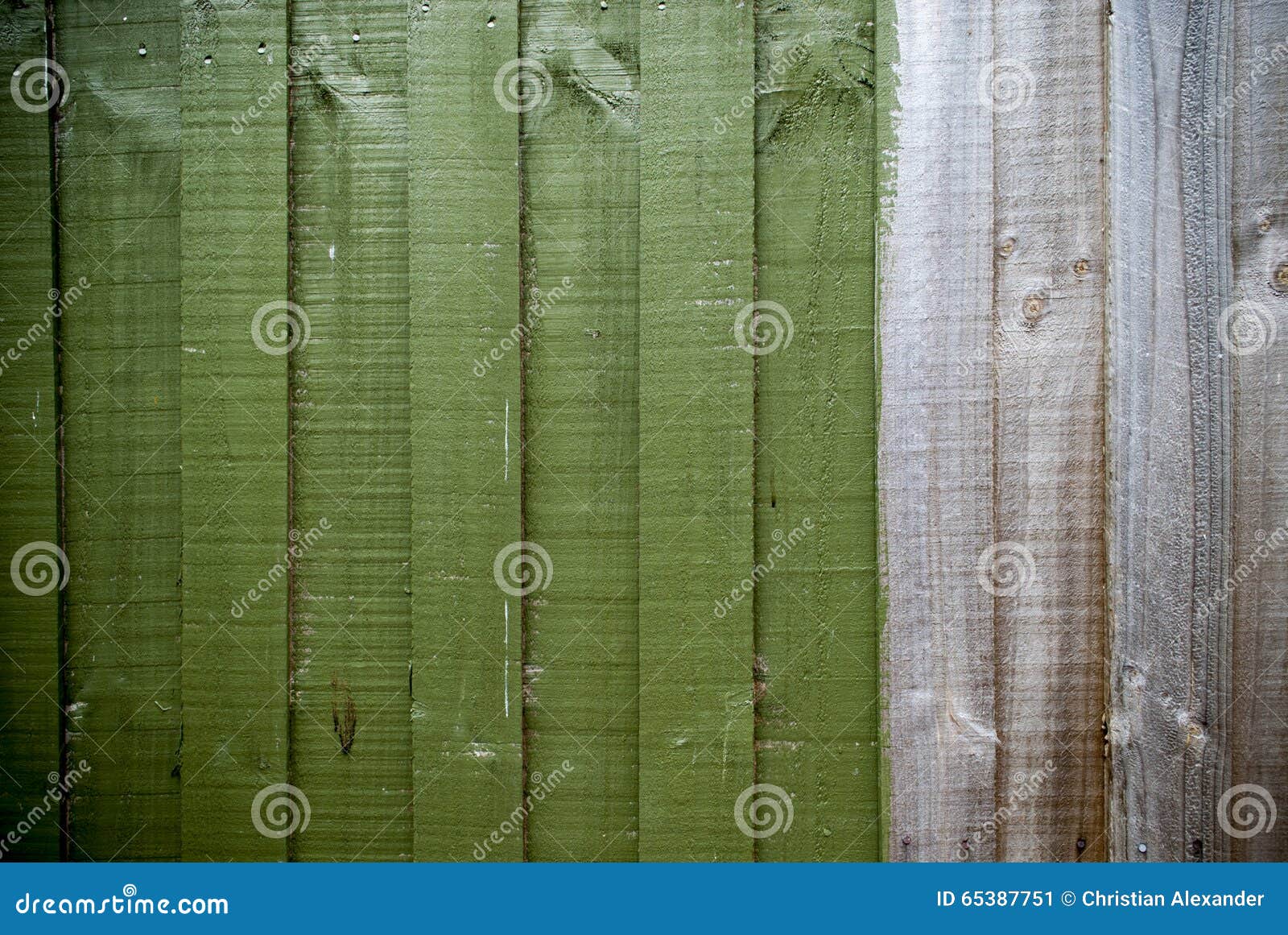 Green Timber Frame Outhouse In Greenery. Stock Image | CartoonDealer ...