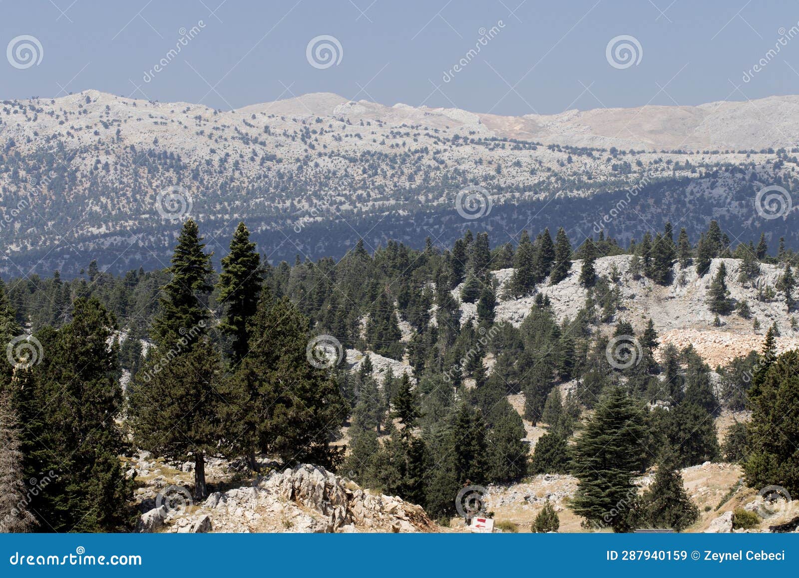 Juniper Forest on Taurus Mountains Stock Image - Image of cilician ...