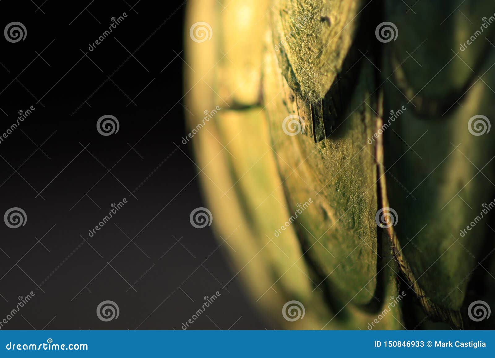 Partial View of Green Textured Sphere on Black Background Stock Image ...
