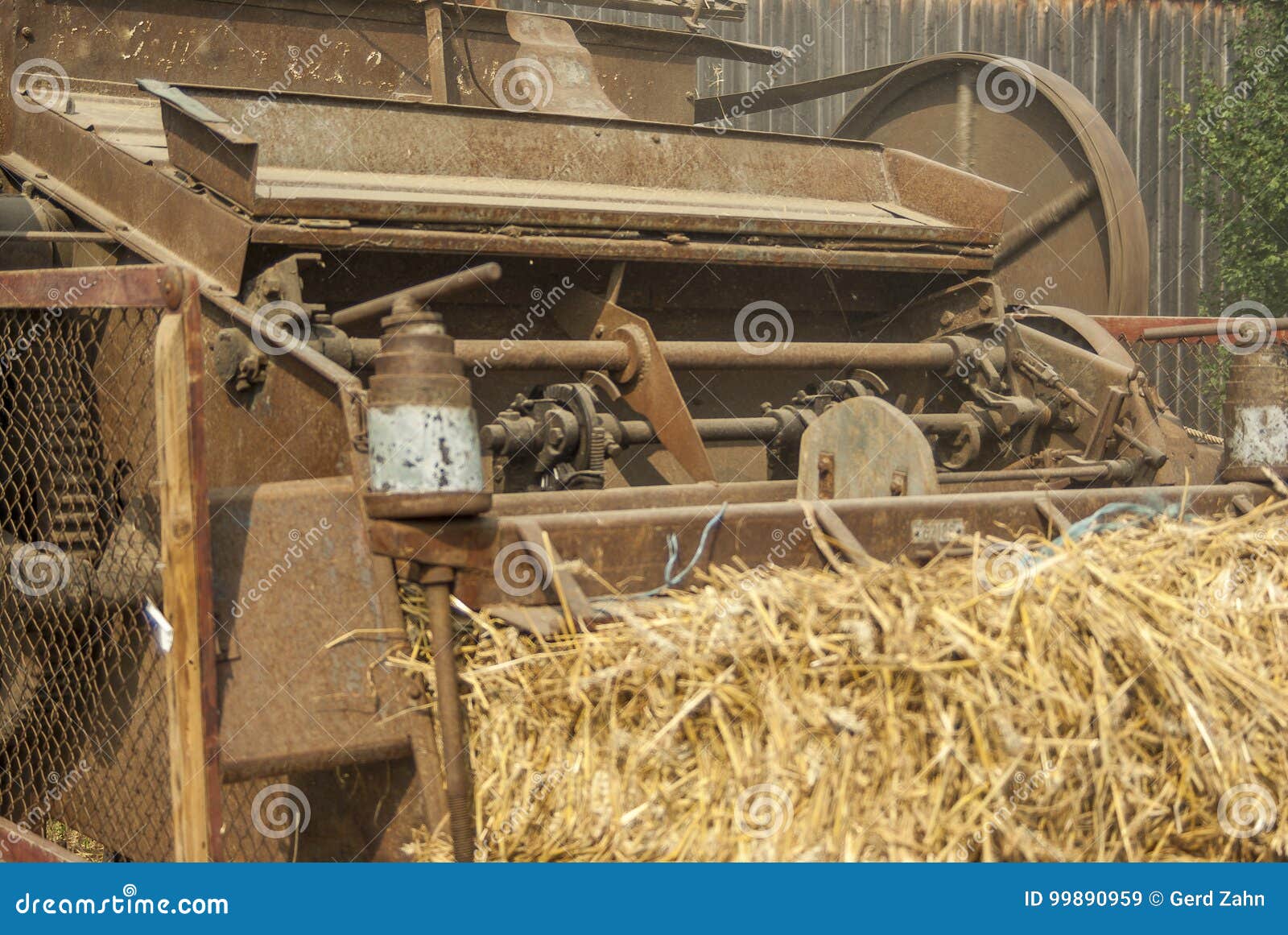 Partial View of a Historic Threshing Machine in Operation with a Straw ...