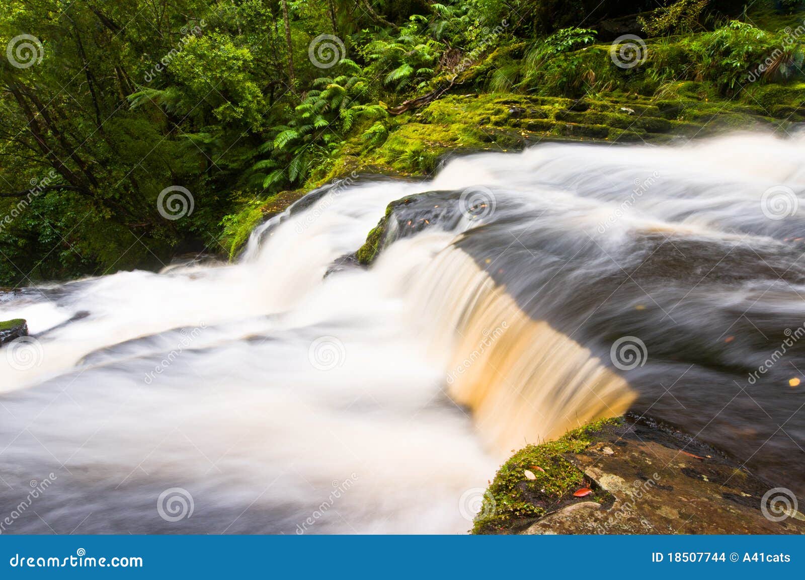 Partial View McLean Falls in the Catlins Stock Photo - Image of color ...