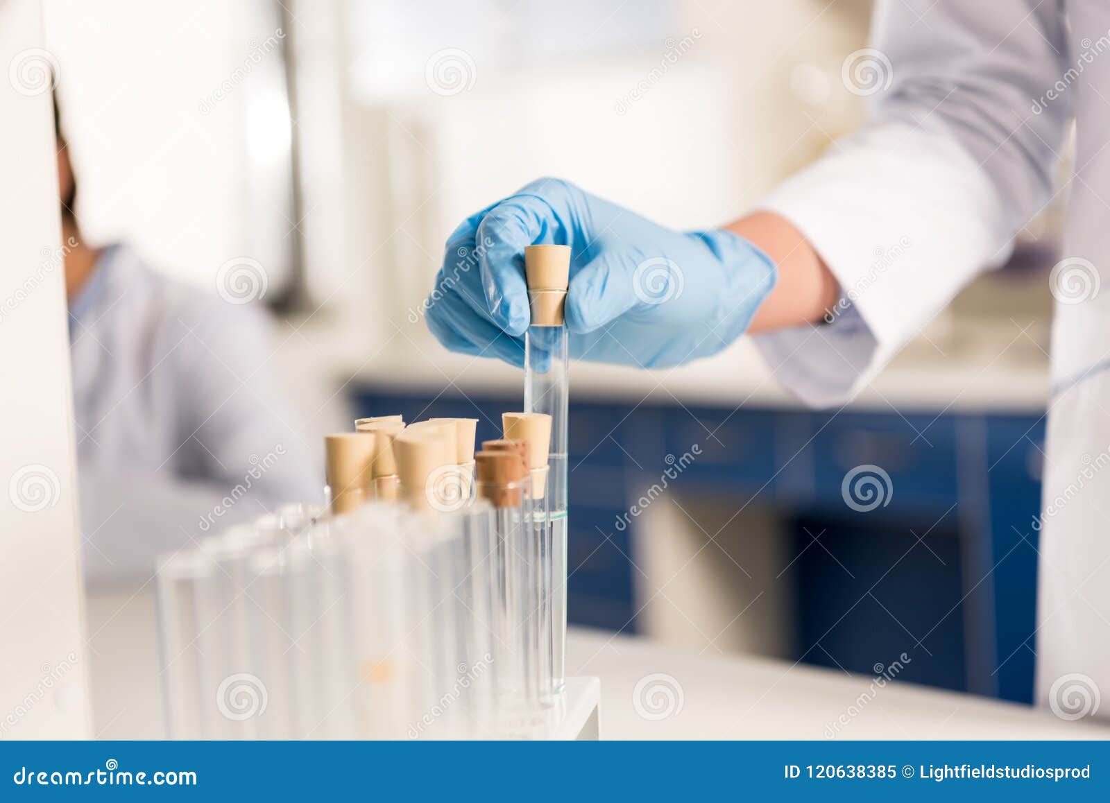 Partial View of Scientist Working with Test Tubes, Laboratory Stock ...