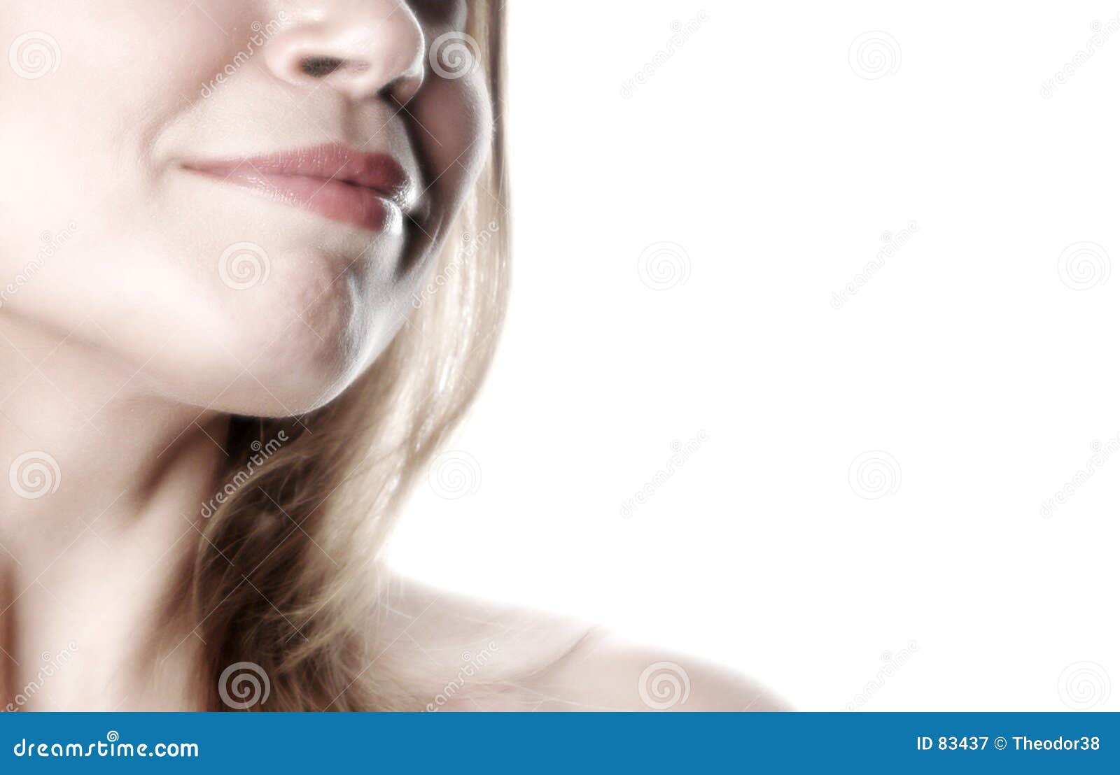 Partial woman face-13 stock image. Image of business, attractive - 83437
