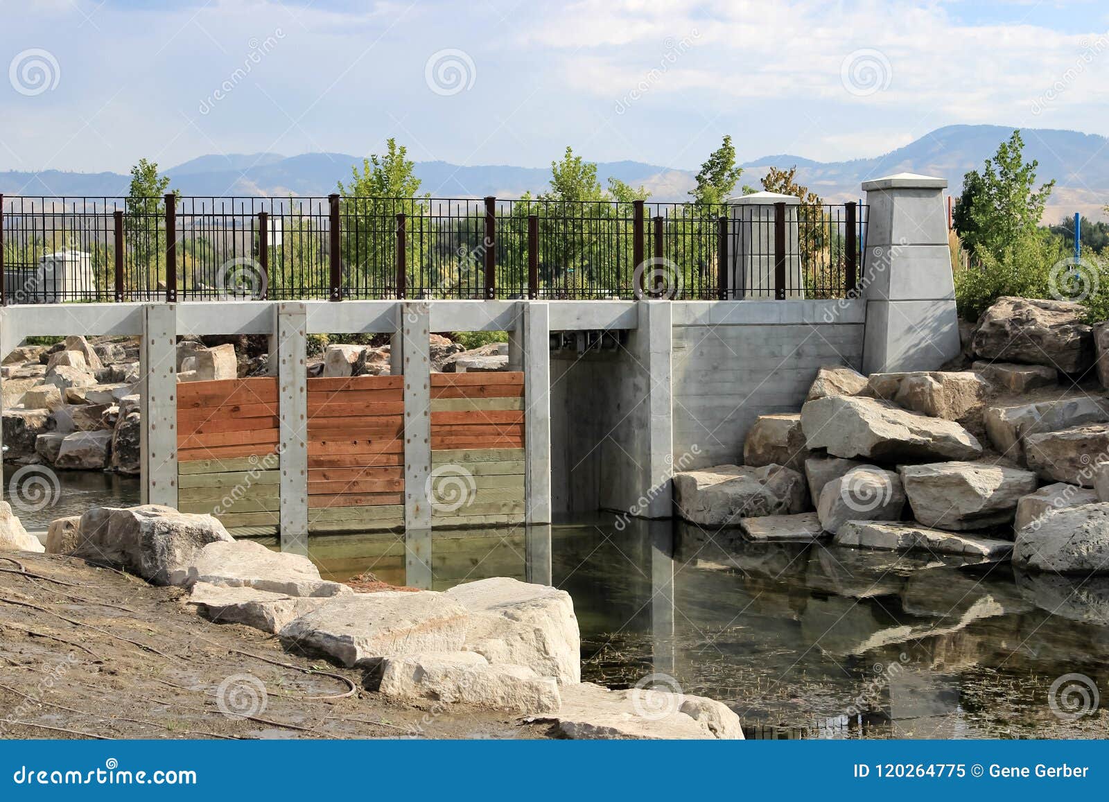 A Partial Wooden Dam stock image. Image of green, trees - 120264775