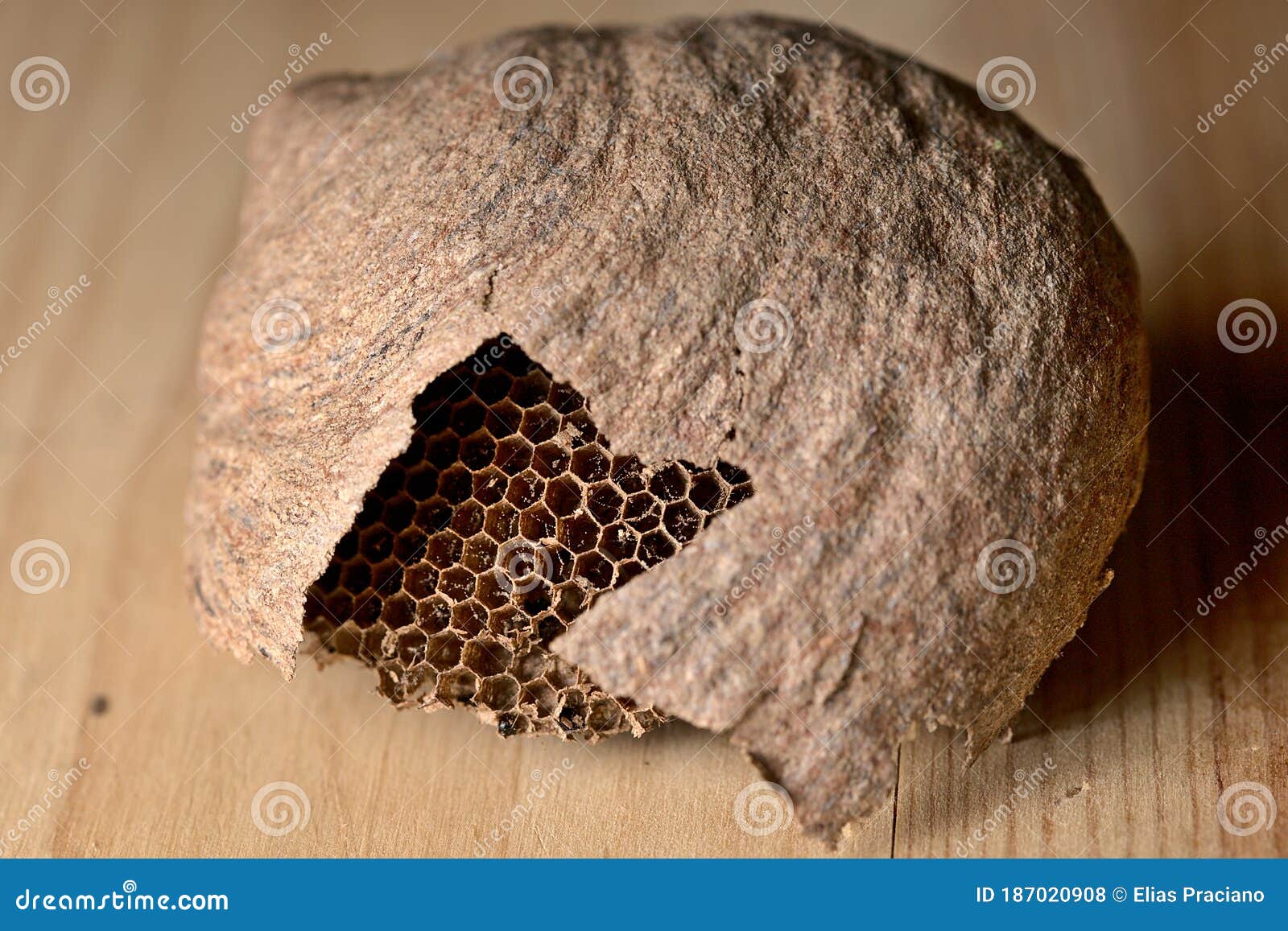 Natural Beehive Structure