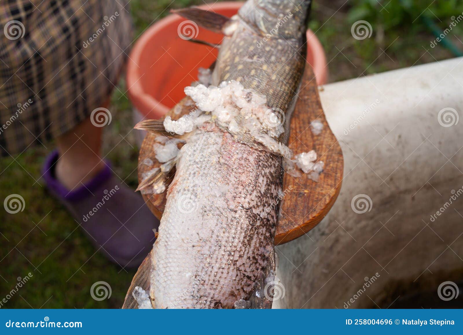 Partially Peeled Fish on a Cutting Board Stock Photo - Image of animal ...